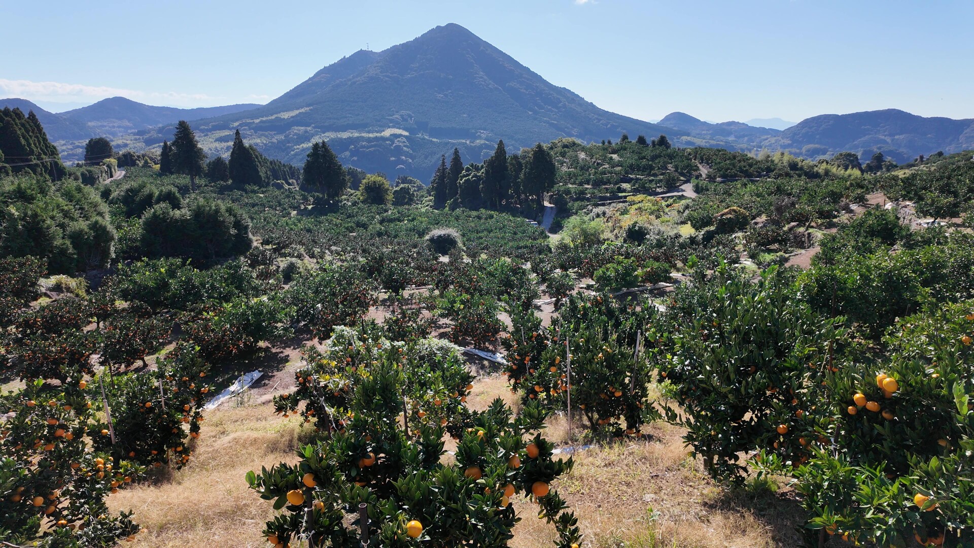 金峰山・熊ノ岳（二ノ岳）・三ノ岳 / suejirouさんの金峰山・二ノ岳・三ノ岳の活動データ | YAMAP / ヤマップ