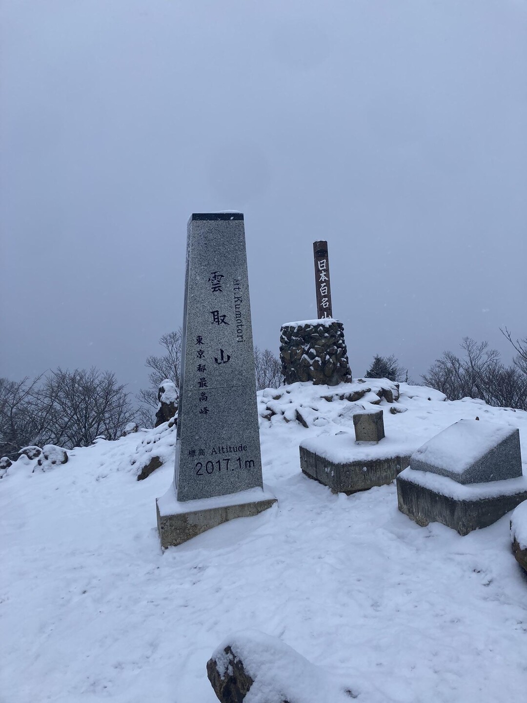 ヨモギノ頭・小雲取山・雲取山 / tjさんの雲取山・鷹ノ巣山・七ツ石山の活動データ | YAMAP / ヤマップ