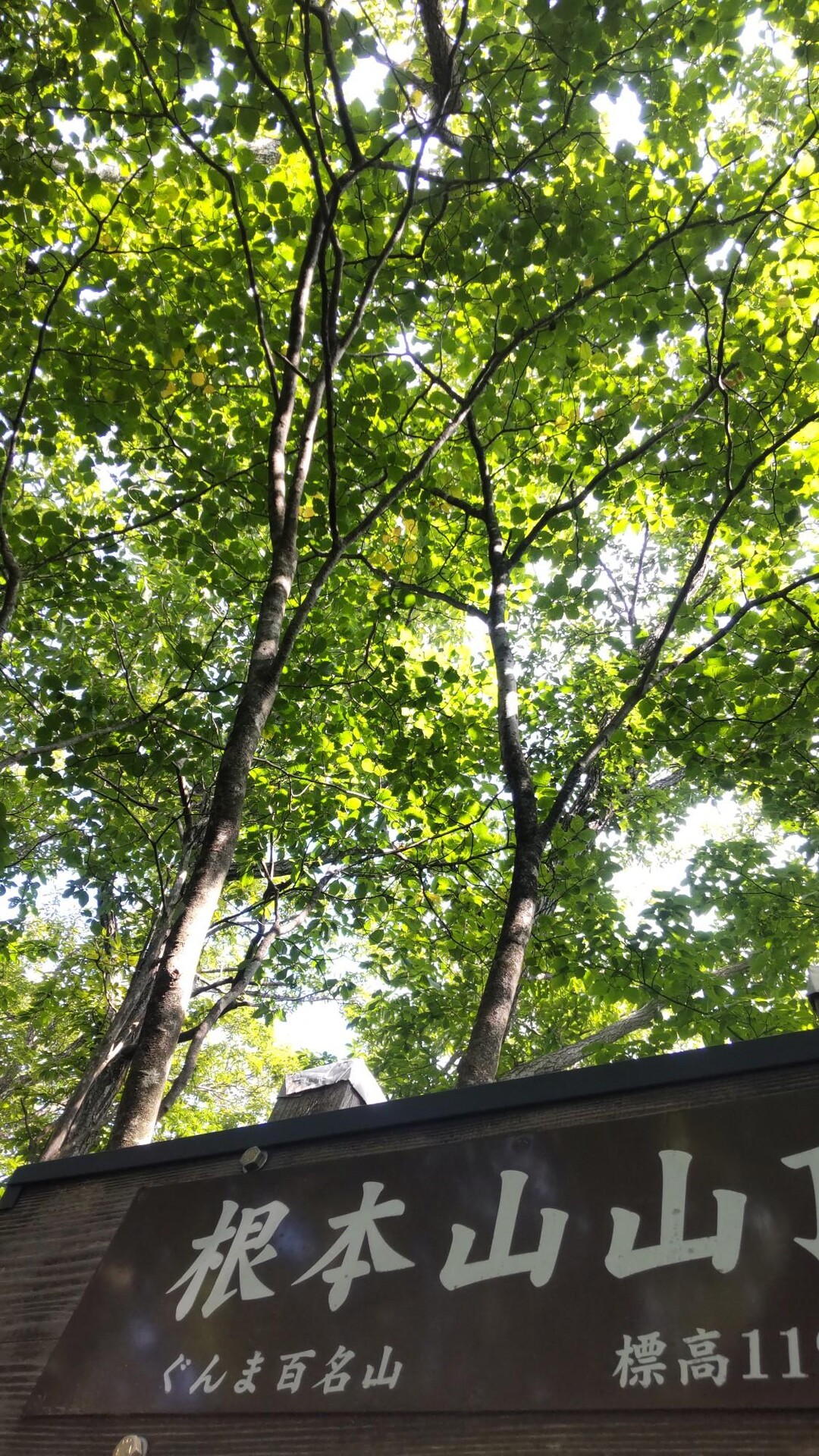 Showerを浴びたいwow…wo… / アカラ王子さんの根本山・熊鷹山・氷室山の活動データ | YAMAP / ヤマップ