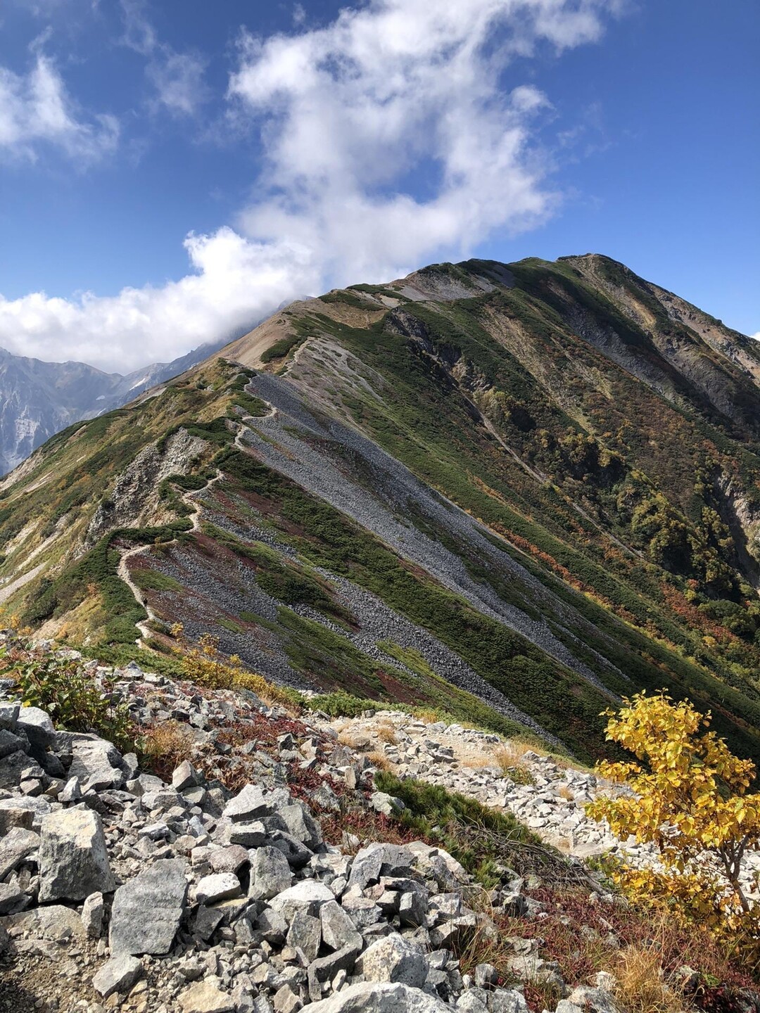 小蓮華山ピストン / nakkoさんの登山の活動データ | YAMAP / ヤマップ