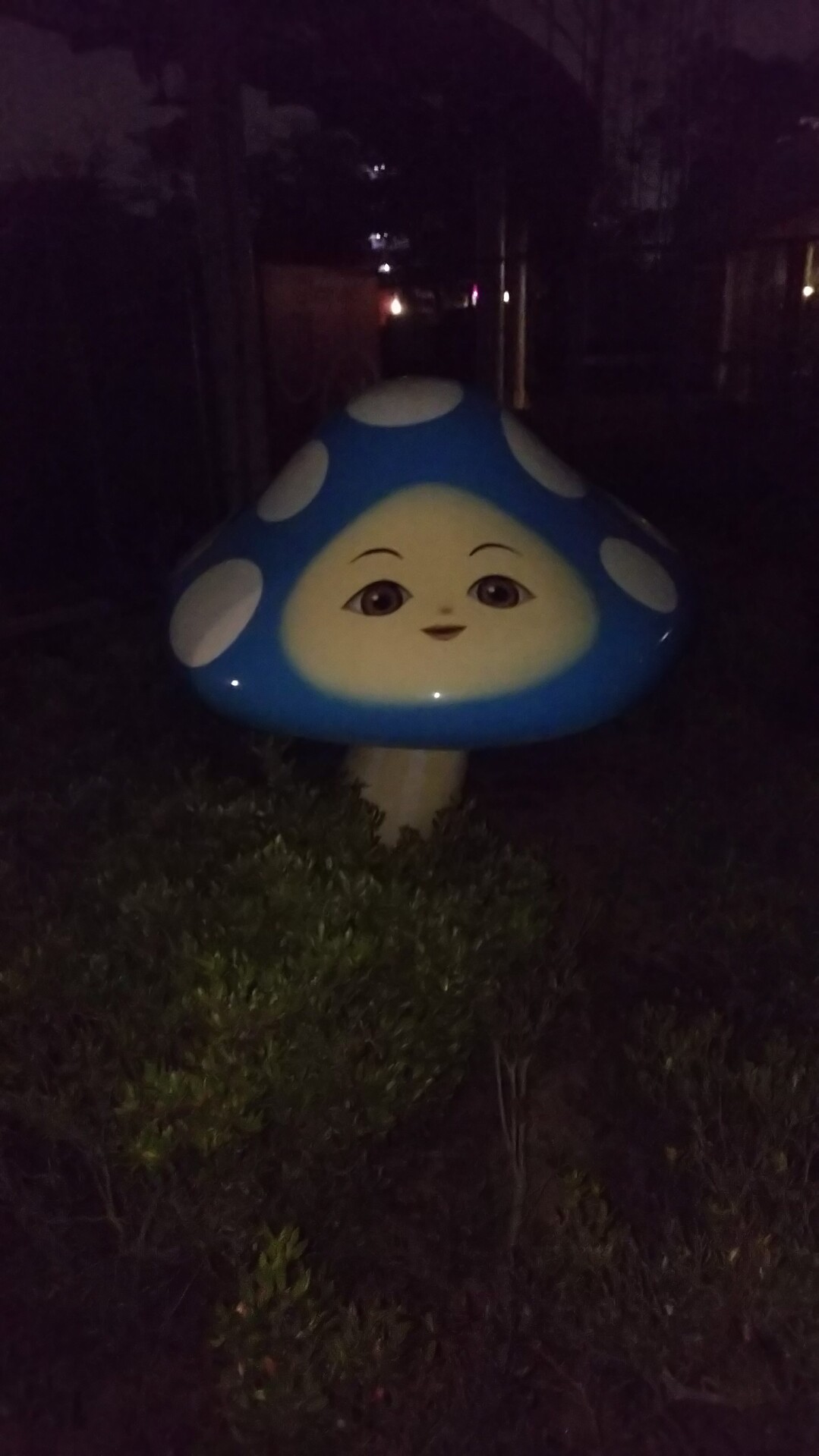 MITのページ | YAMAP / ヤマップ