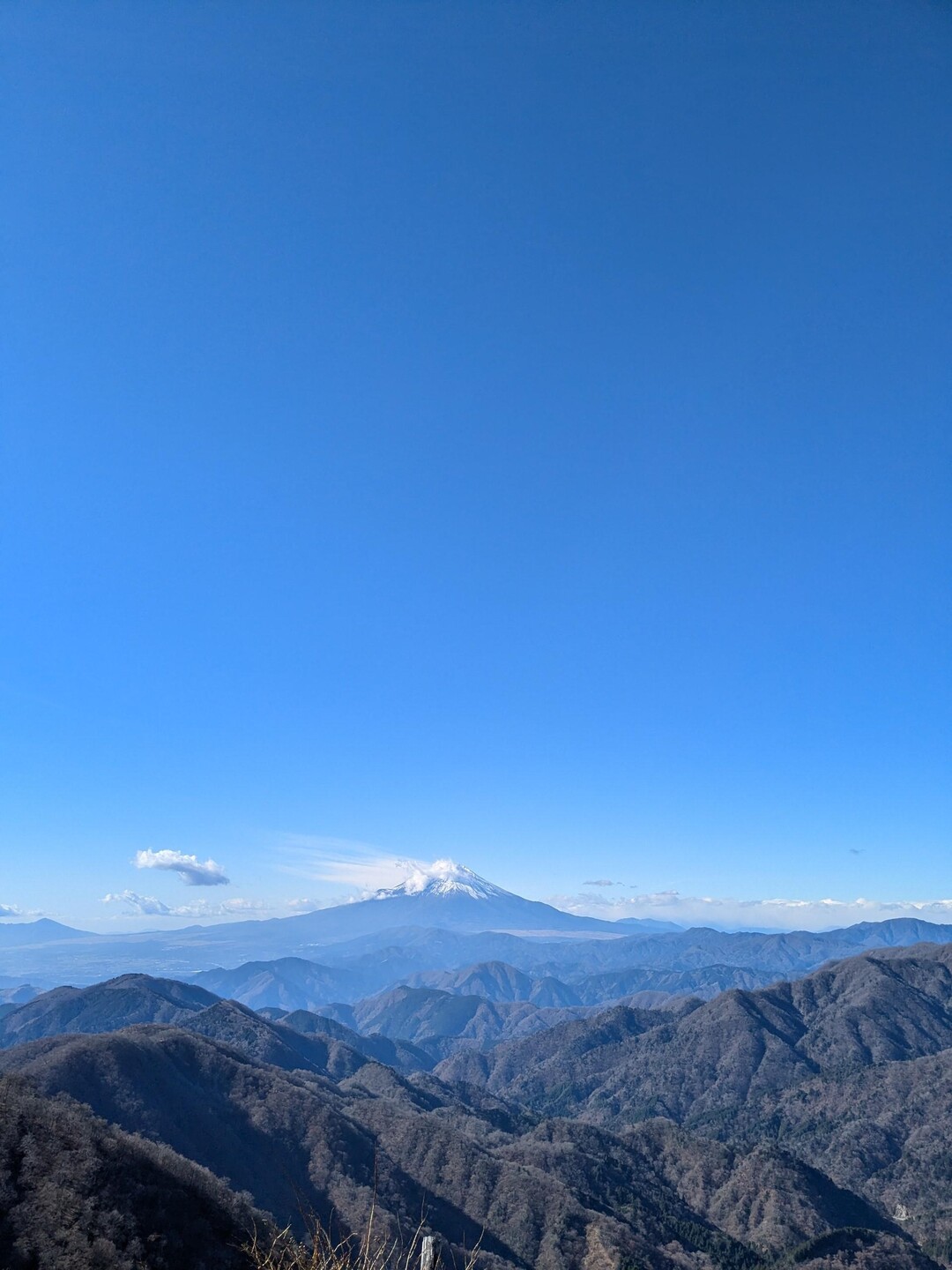 丹沢表尾根 塔ノ岳、烏尾山、三ノ塔 / dadadadさんのウォーキングの活動データ | YAMAP / ヤマップ
