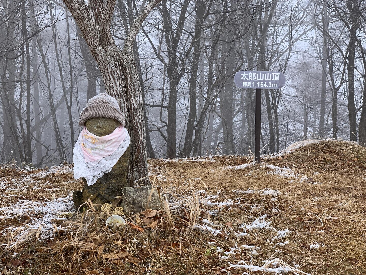 雪がチラつく太郎山(32回目) / SamuSamuさんの太郎山の活動データ | YAMAP / ヤマップ