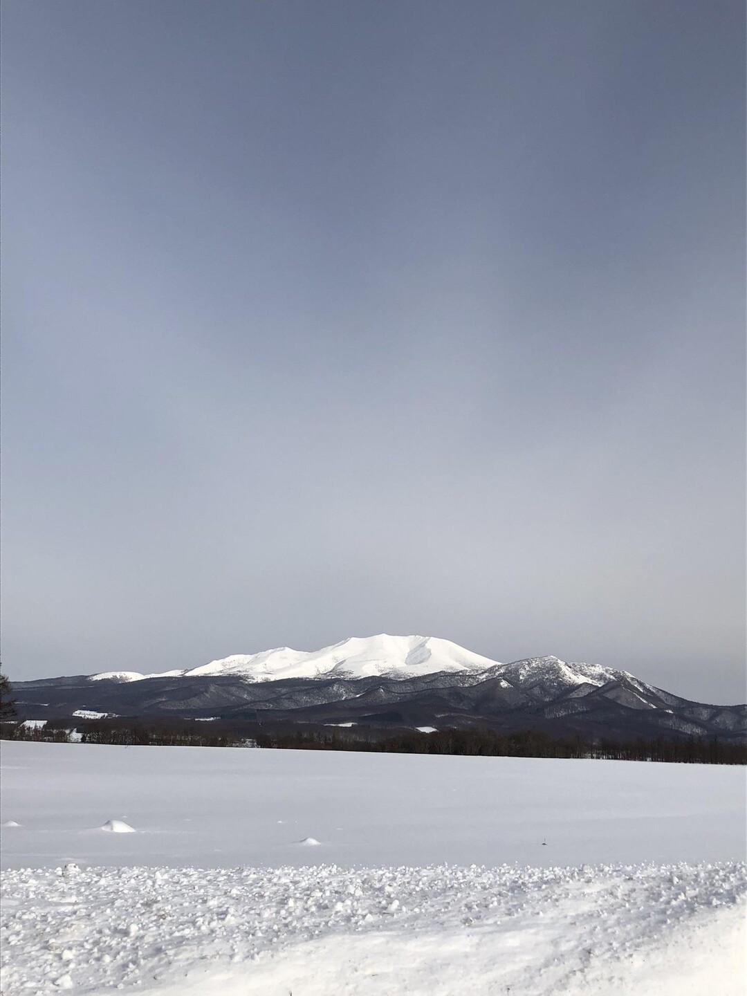 海別岳2024-2-17頂上行けた / do-sankoさんの海別岳の活動データ | YAMAP / ヤマップ