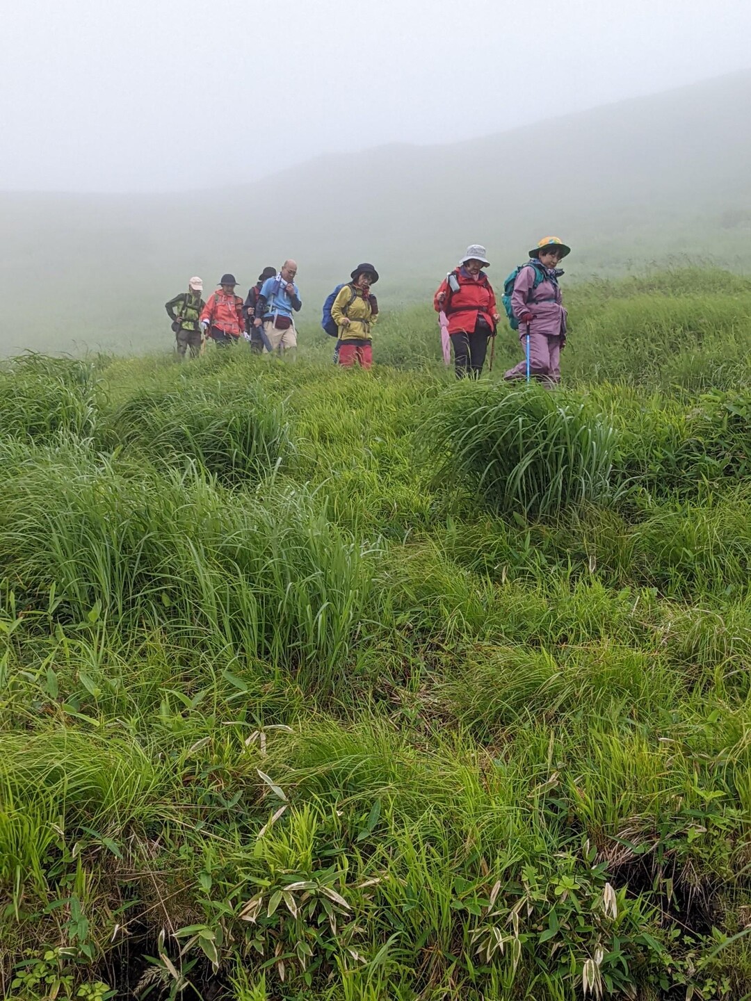 霧ヶ峰（車山） / 良山さんの霧ヶ峰・車山・大笹峰の活動日記 | YAMAP / ヤマップ