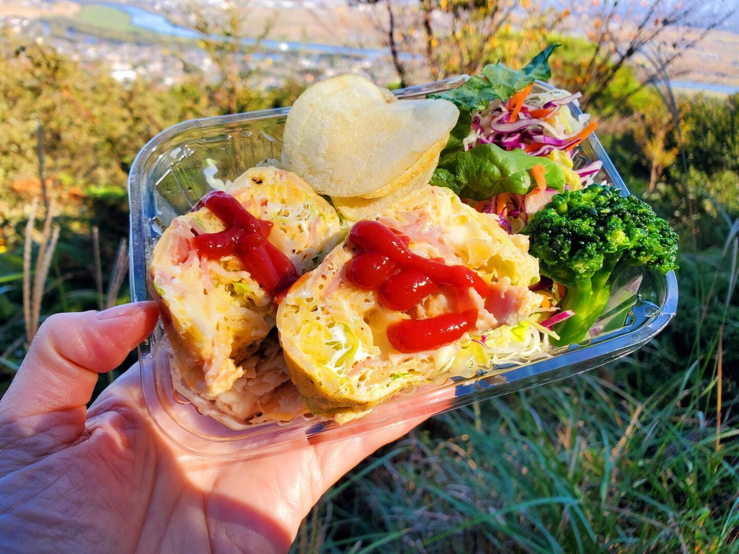 羽沢(ポテチオムレツ) / 🍒sa-ki🍒さんの多度山・美濃松山・石津御嶽の活動データ | YAMAP / ヤマップ