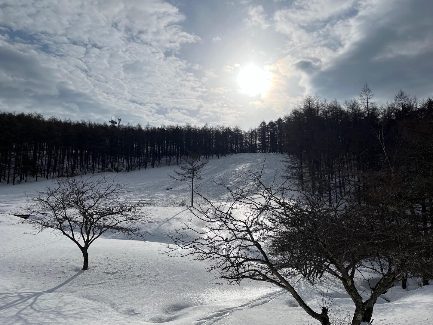入笠山 ️ / harumiさんの入笠山の活動データ | YAMAP / ヤマップ