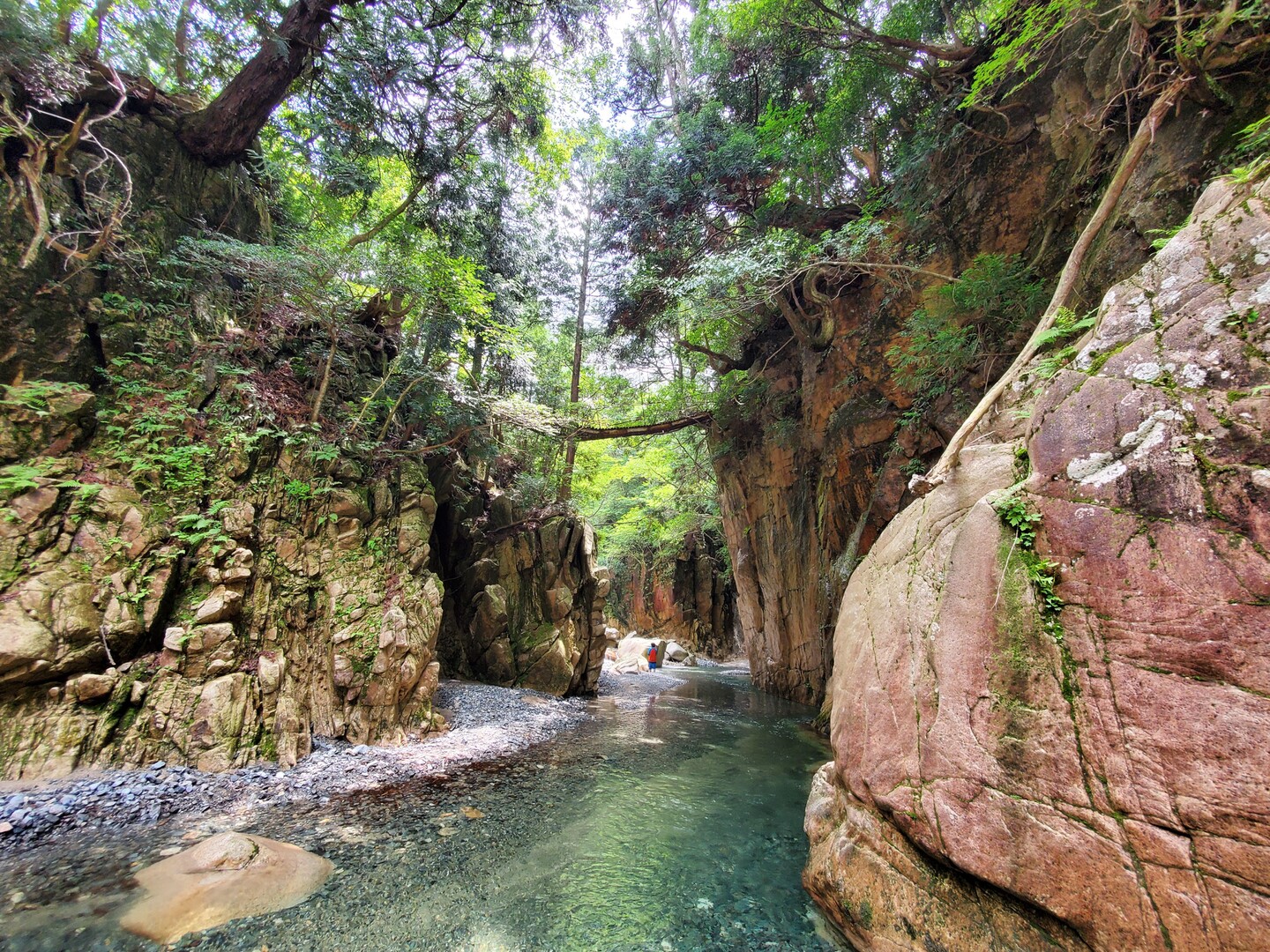 夏なのに身体が冷たく寒かった。やっぱ夏は大トロを楽しもう。 / KATSUYA🍀さんの釈迦ヶ岳の活動データ | YAMAP / ヤマップ