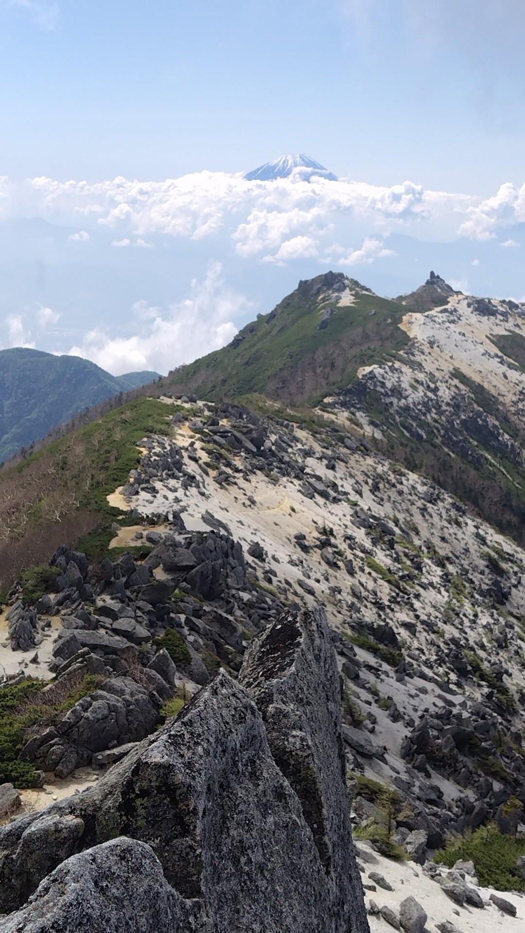 夜叉神から観音岳（鳳凰山） / 141さんの鳳凰山・地蔵岳・観音岳・薬師岳の活動データ | YAMAP / ヤマップ