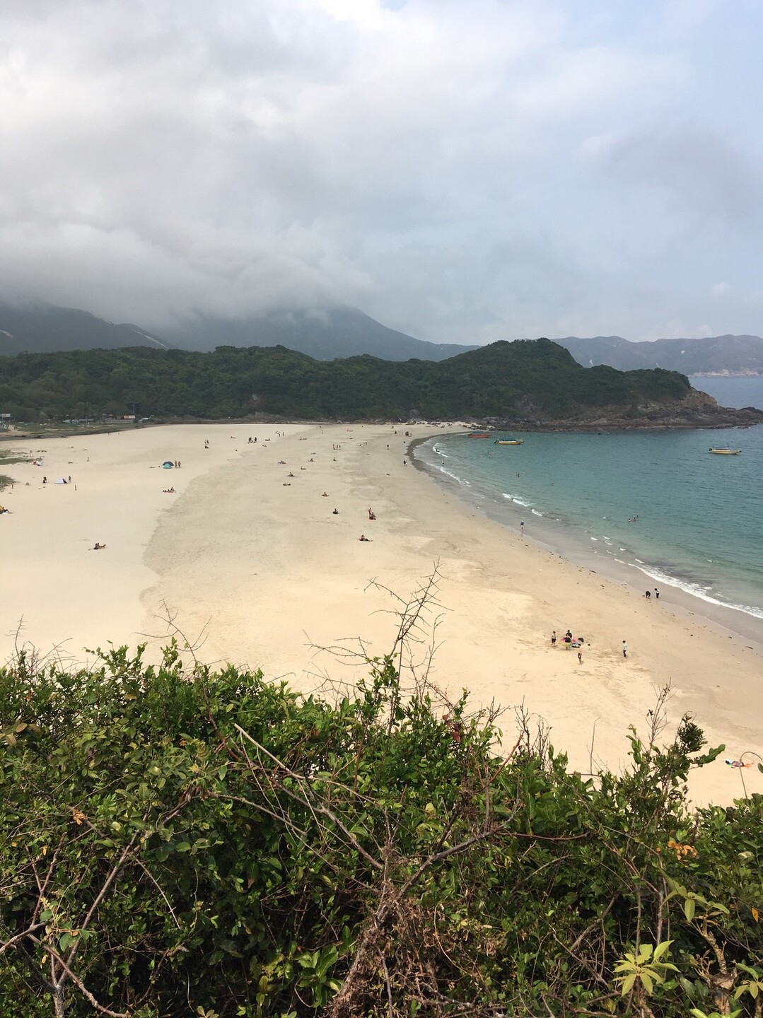 マクリホーストレイル セクション2 シャープピークに立ち寄り / Masakingさんのマクリホース・トレイルの活動データ | YAMAP / ヤマップ