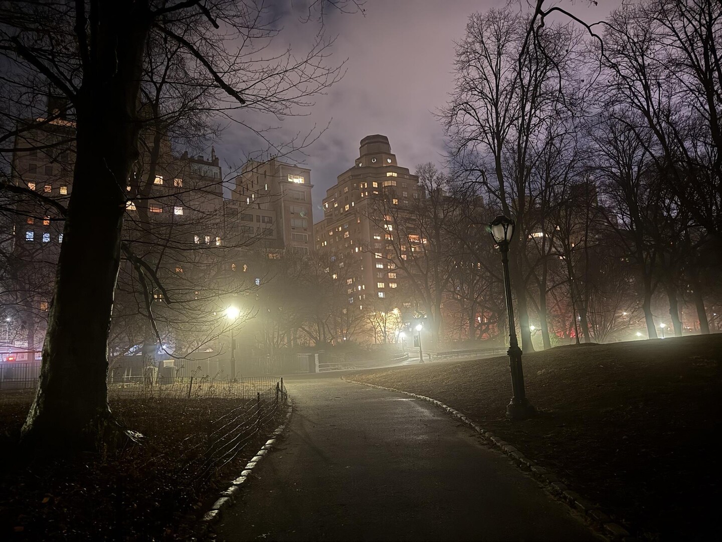 今晩のセントラル・パークは霧と靄が濃く立... / Mt Adventureさんのモーメント | YAMAP / ヤマップ