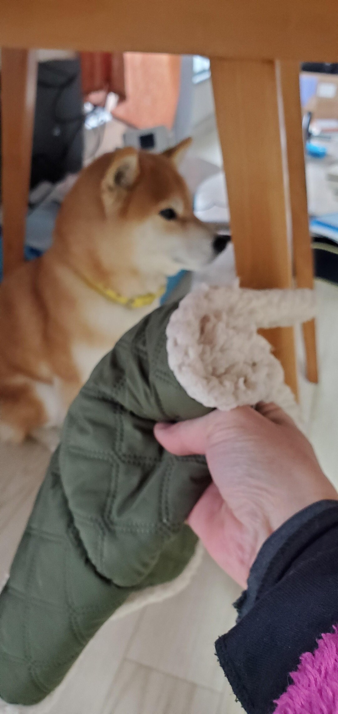 日向山 / damens さんの三上山・鏡山の活動データ | YAMAP / ヤマップ