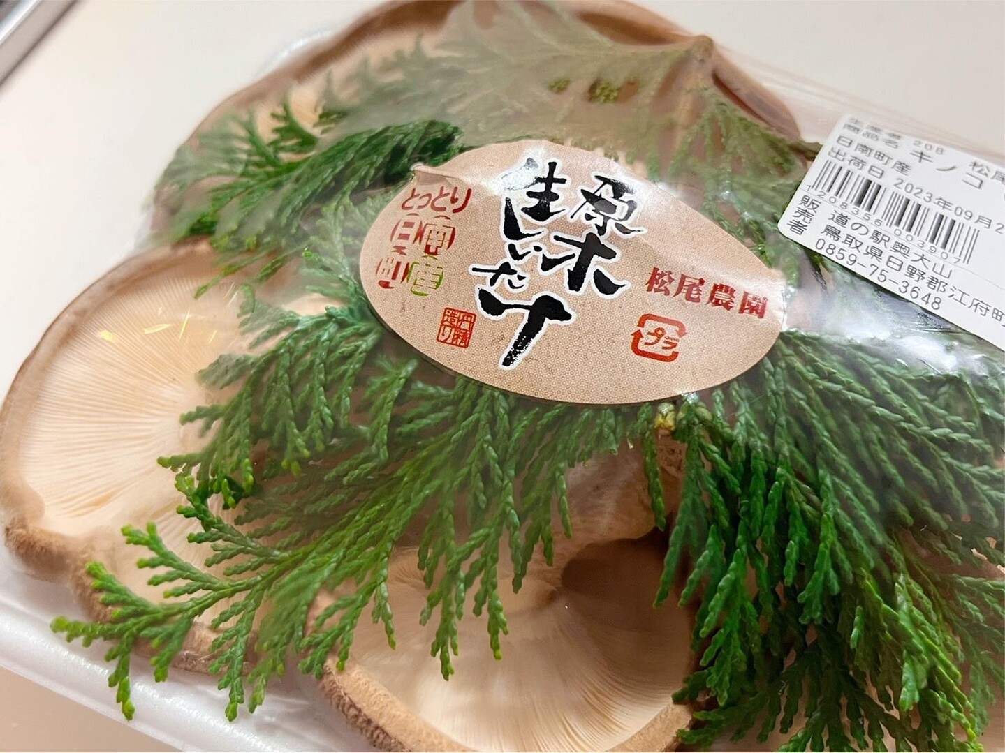 先日、道の駅 奥大山さんに寄った時にゲ... / kazさんのモーメント | YAMAP / ヤマップ