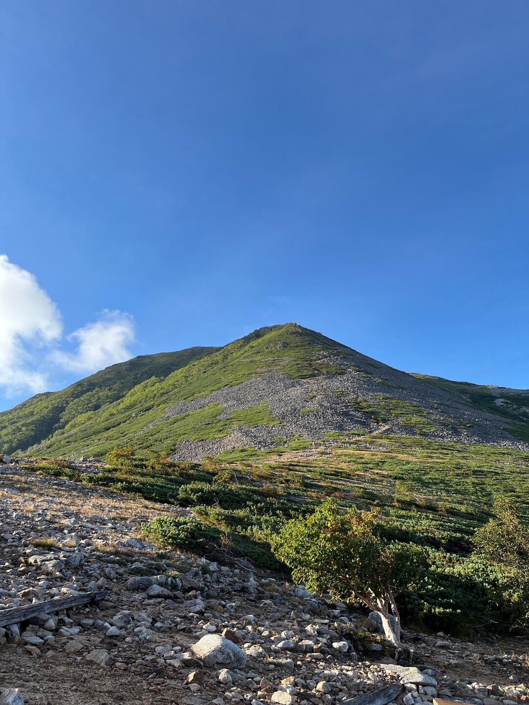 おはよう御座います。 只今から下山開始。... / kaoruさんのモーメント | YAMAP / ヤマップ