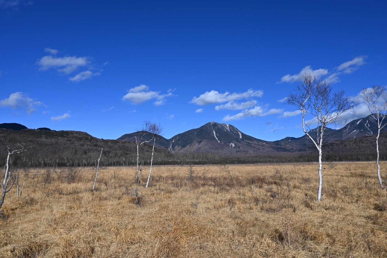 日光戦場ヶ原 / Aokoさんの男体山の活動データ | YAMAP / ヤマップ