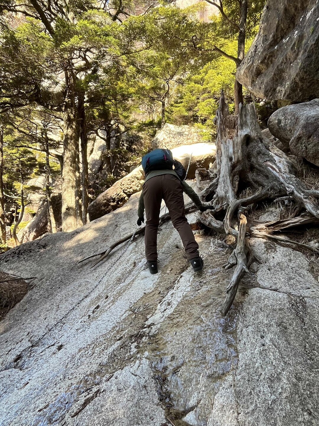 SAYAKAさんの投稿したフィールドメモ | YAMAP / ヤマップ