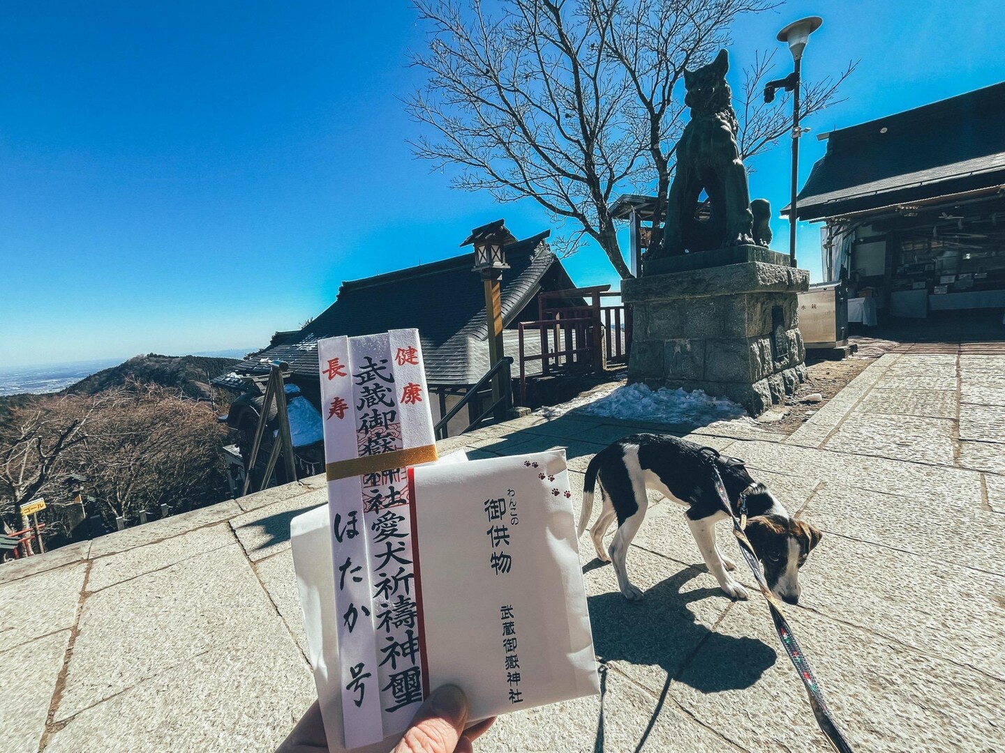 愛犬と初の山歩き 御岳山 / inbさんの大岳山・御岳山・御前山の活動データ | YAMAP / ヤマップ