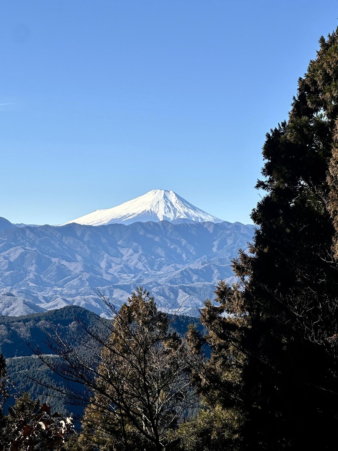 初登りは景信山から高尾山へ / kakoさんの高尾山・陣馬山・景信山の活動データ | YAMAP / ヤマップ