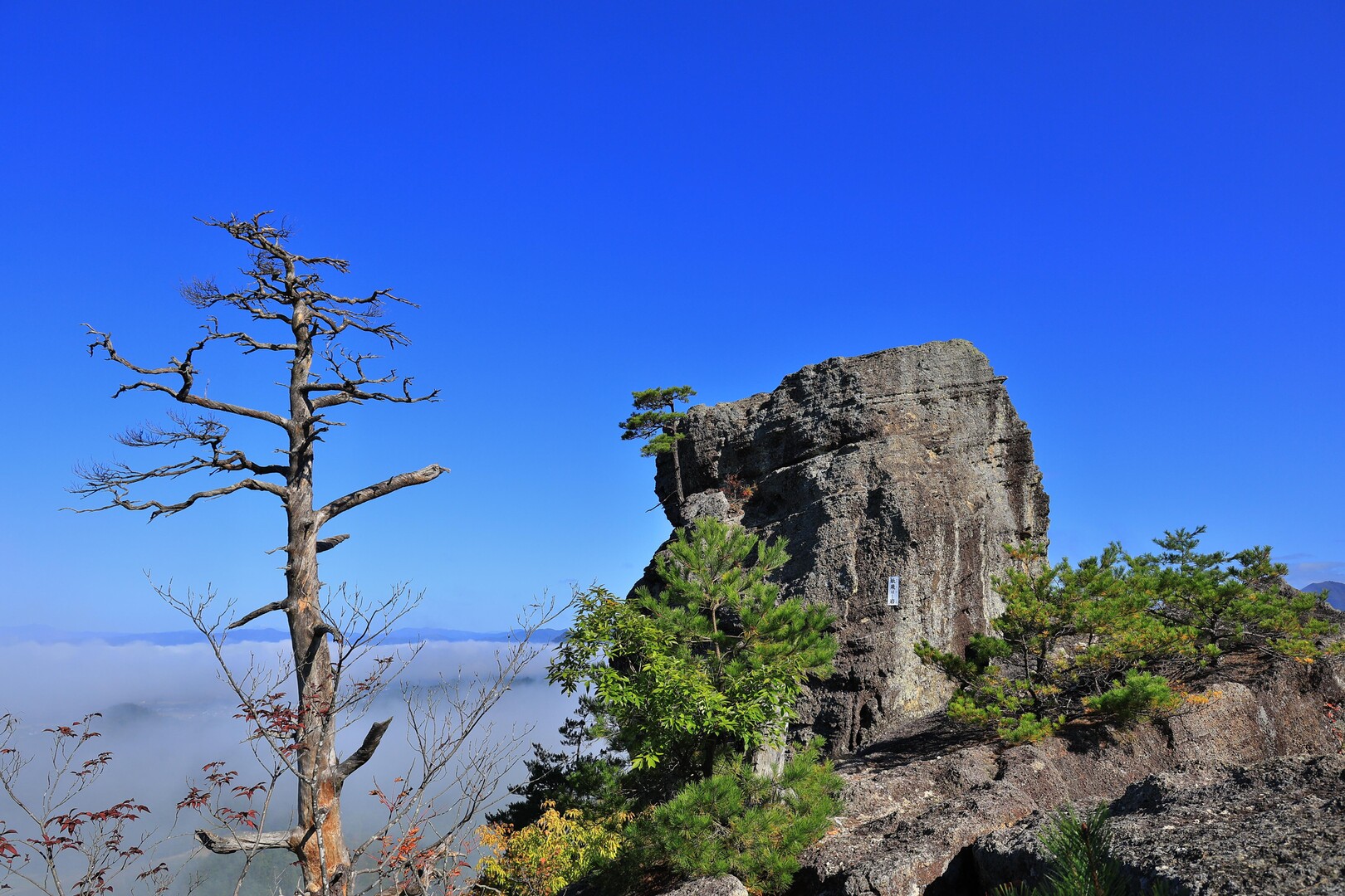 一年峰 ～その2 下山編 文殊山・一念峰（一年峰）-2024-10-21 / プーさんの文殊山・一念峰（一年峰）の活動データ | YAMAP / ヤマップ
