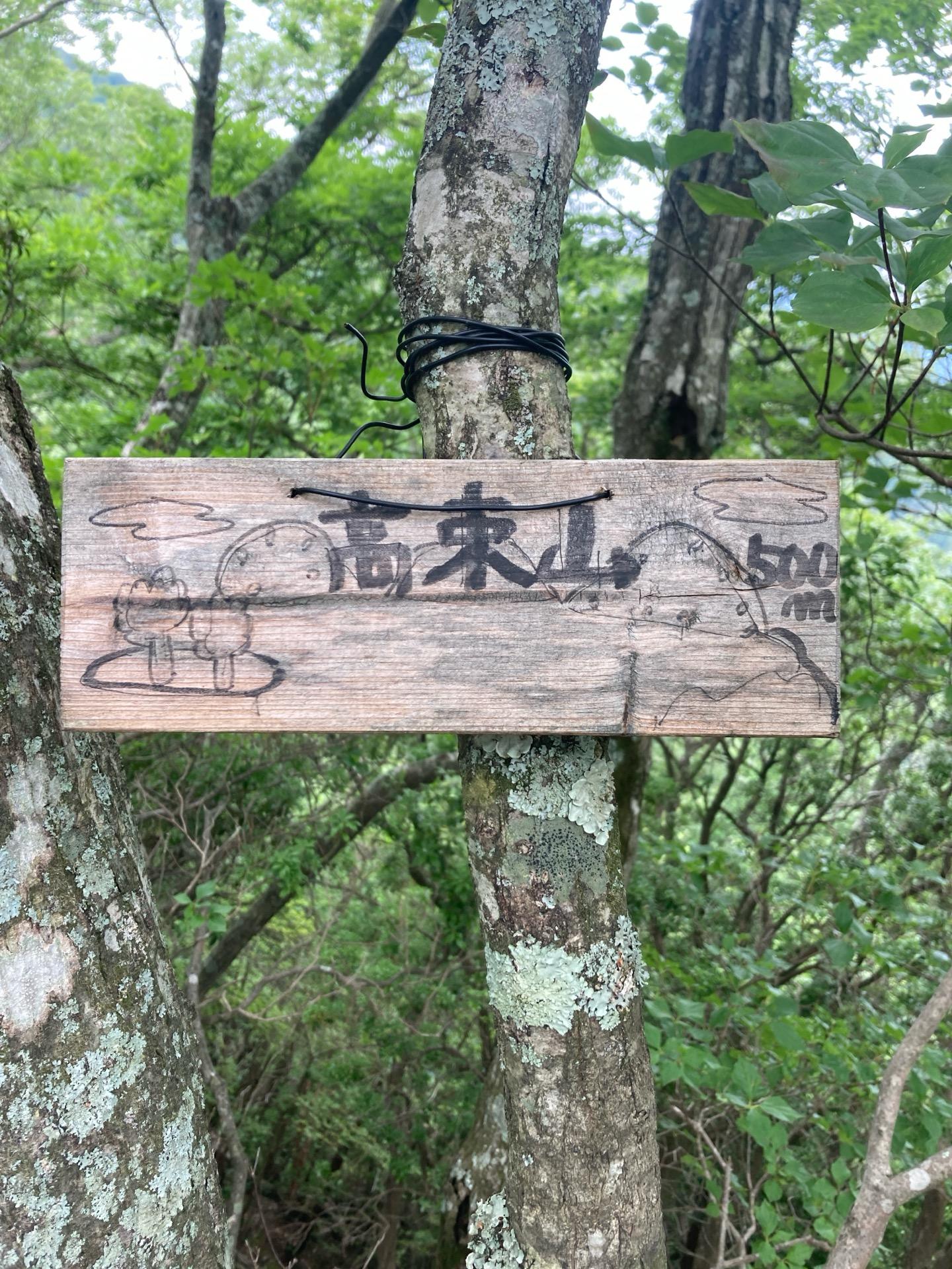 高束山 / cocoaさんの高束山の活動データ | YAMAP / ヤマップ