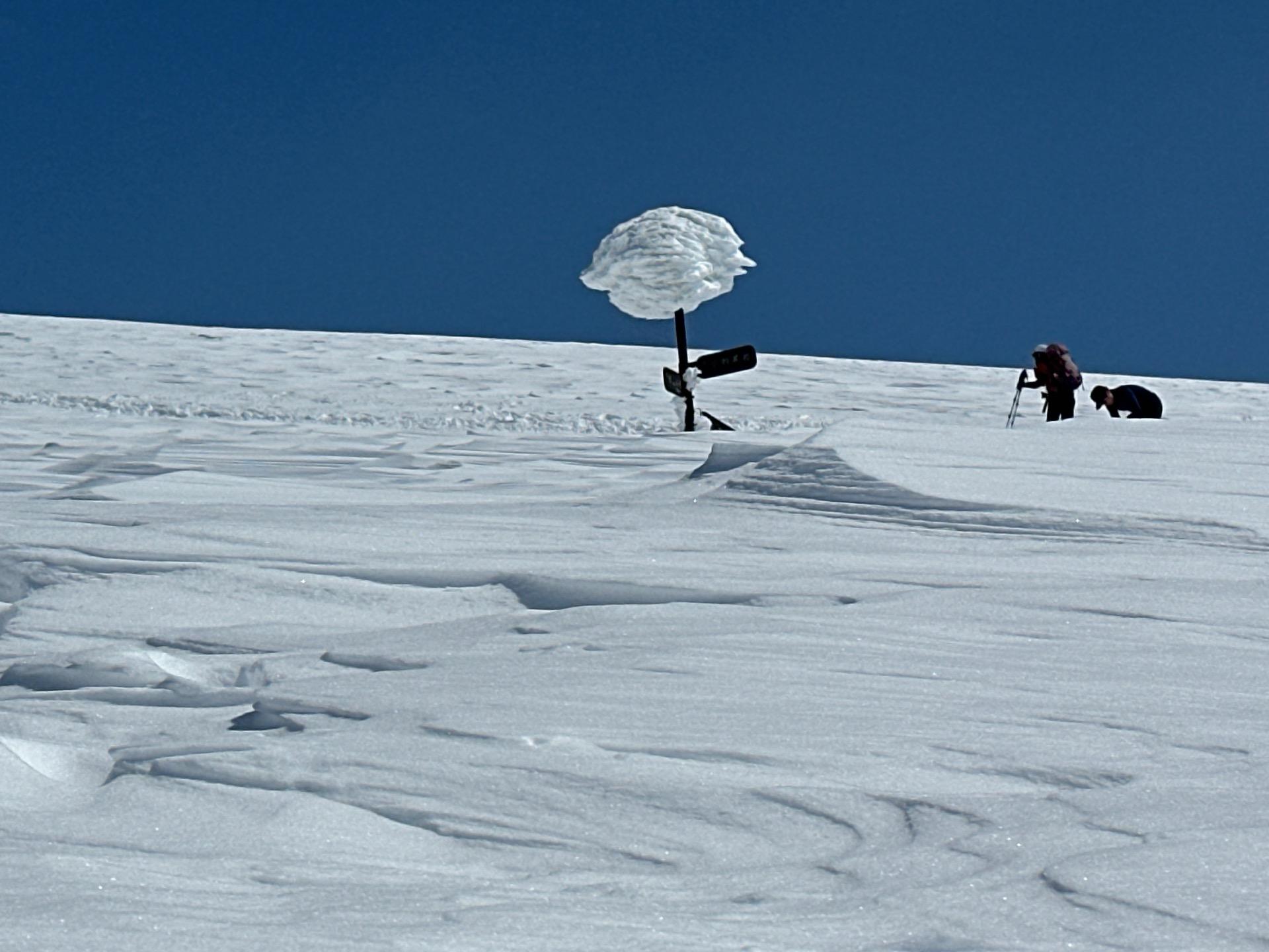 久しぶりに谷川岳（トマの耳）・谷川岳（オキノ耳） / eigoさんの谷川岳・七ツ小屋山・大源太山の活動データ | YAMAP / ヤマップ