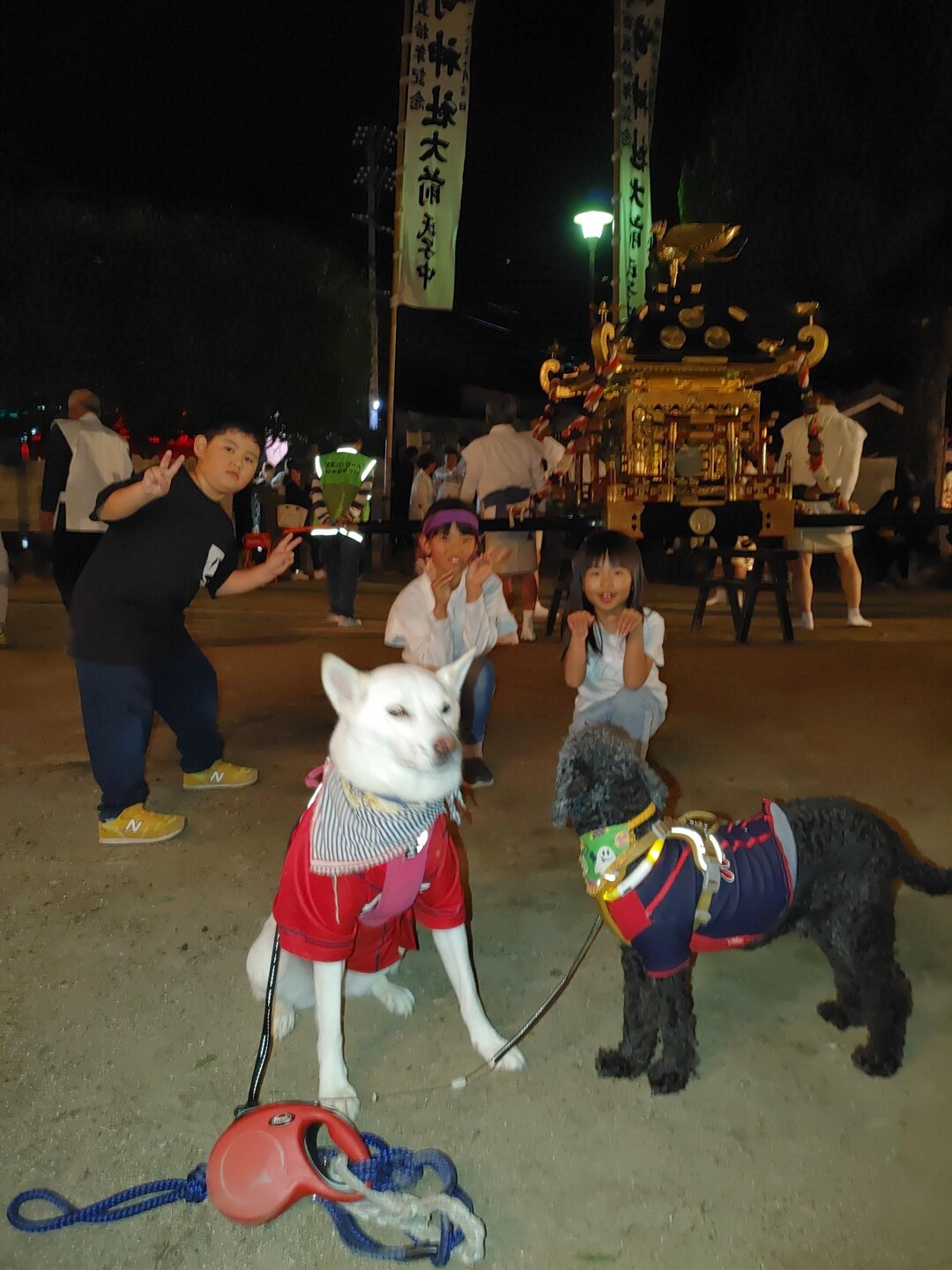 🌃町内のお祭りだワン🐺🐩😊 / GHハコさんのモーメント | YAMAP / ヤマップ