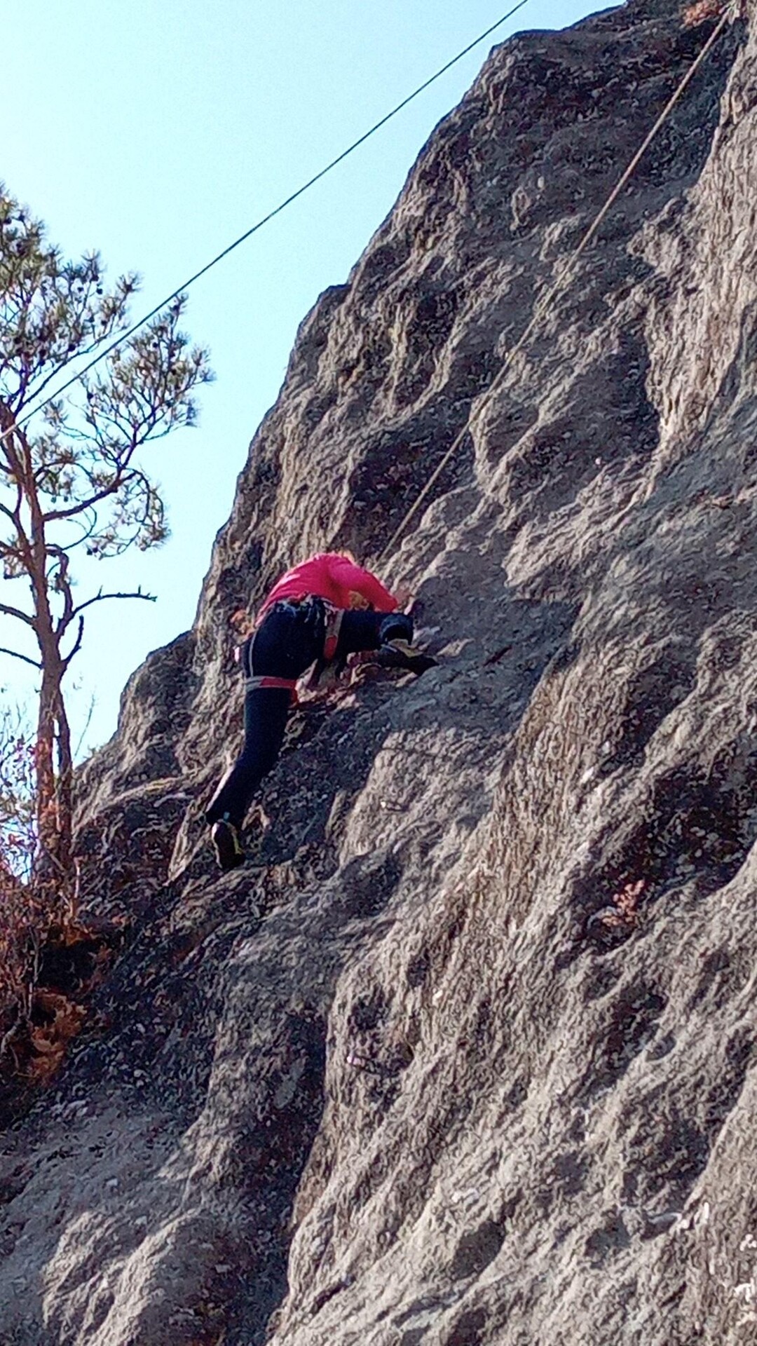 2022,11,09 2日間のクライミン... / MHさんのモーメント | YAMAP / ヤマップ