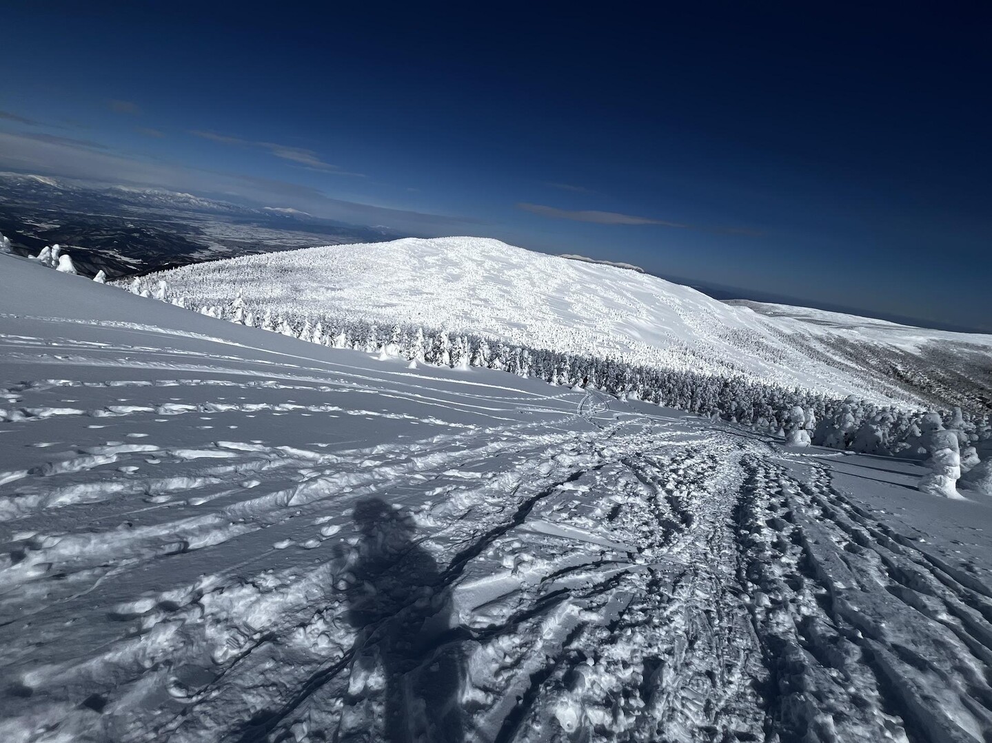 西吾妻山 天元台往復 / Izumiさんの吾妻山・一切経山の活動日記 | YAMAP / ヤマップ