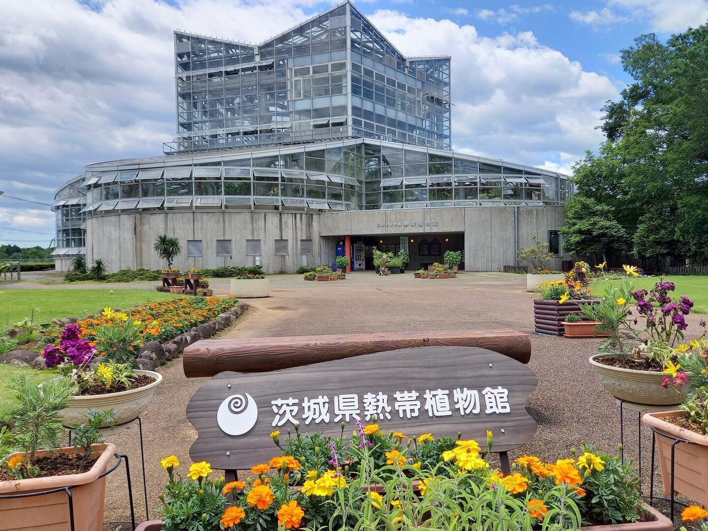 続いて、熱帯植物館編 珍しいお花が咲いて... / misaさんのモーメント | YAMAP / ヤマップ