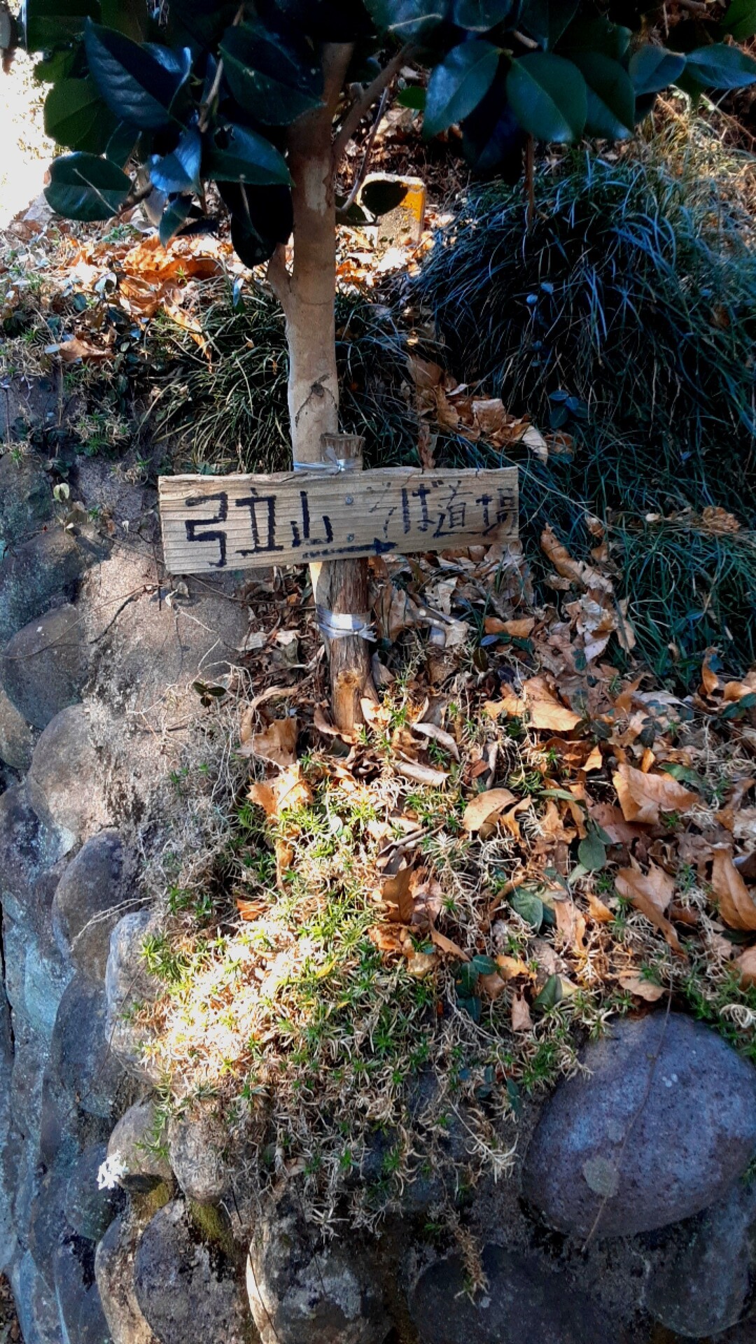 SSMさんの投稿したフィールドメモ | YAMAP / ヤマップ