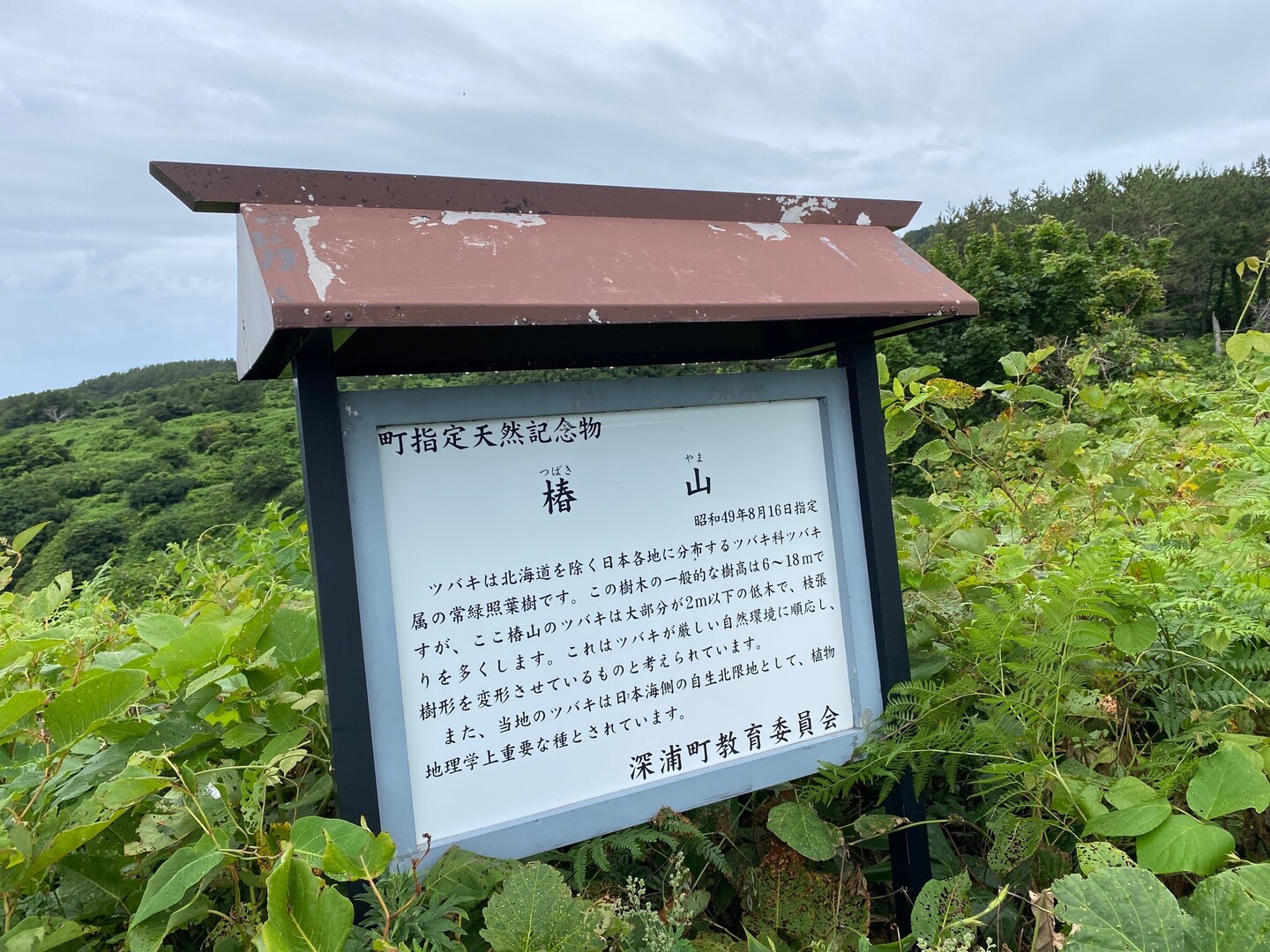 椿山 田んぼアート 近くの山 高岳山... / ラベンダー翡翠さんのモーメント | YAMAP / ヤマップ