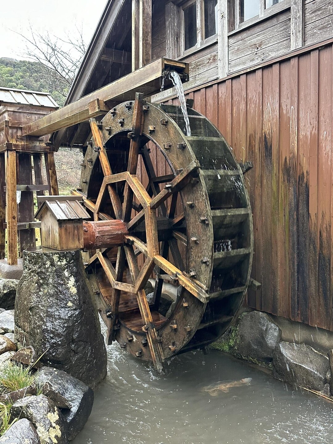 京羅木山・星上山周辺をぐるり💧 / SKYさんの京羅木山・星上山の活動データ | YAMAP / ヤマップ