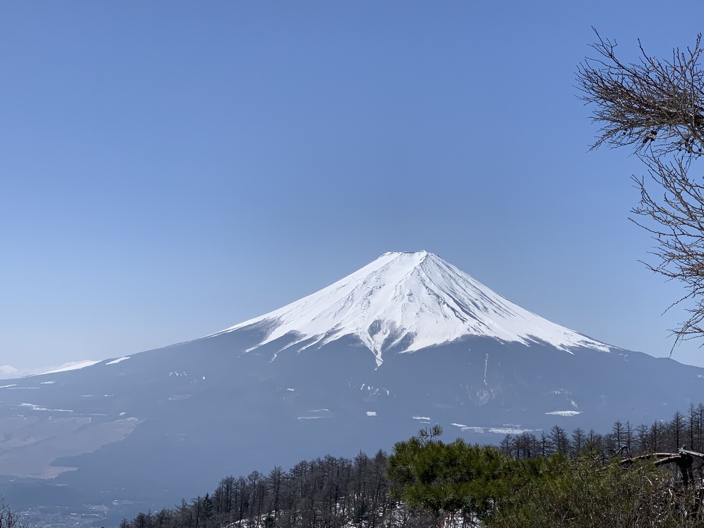 2022年4月9... / megu-chanさんのモーメント | YAMAP / ヤマップ