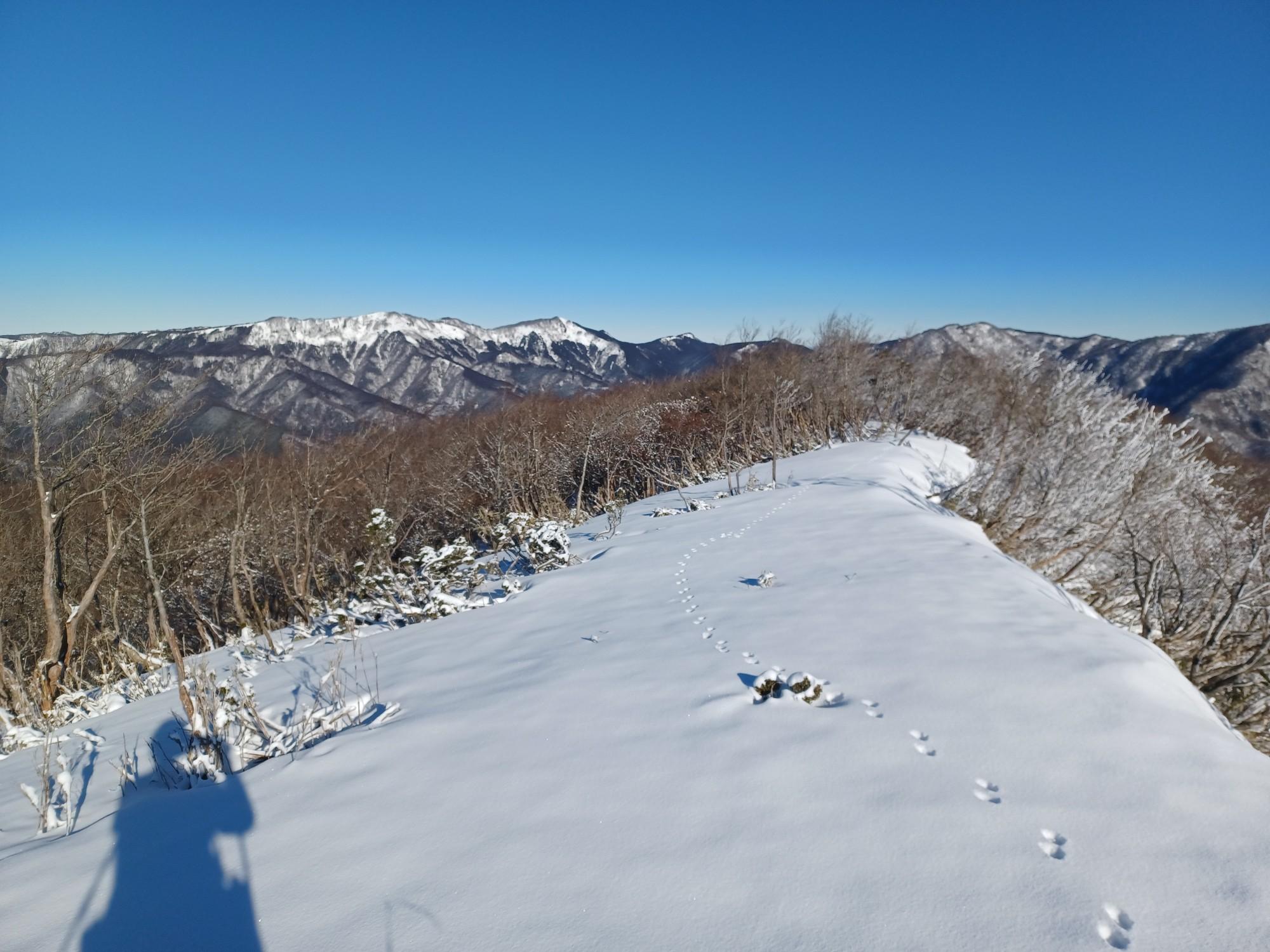 快晴のマッコウ(三原山) / Windyさんのモーメント | YAMAP / ヤマップ