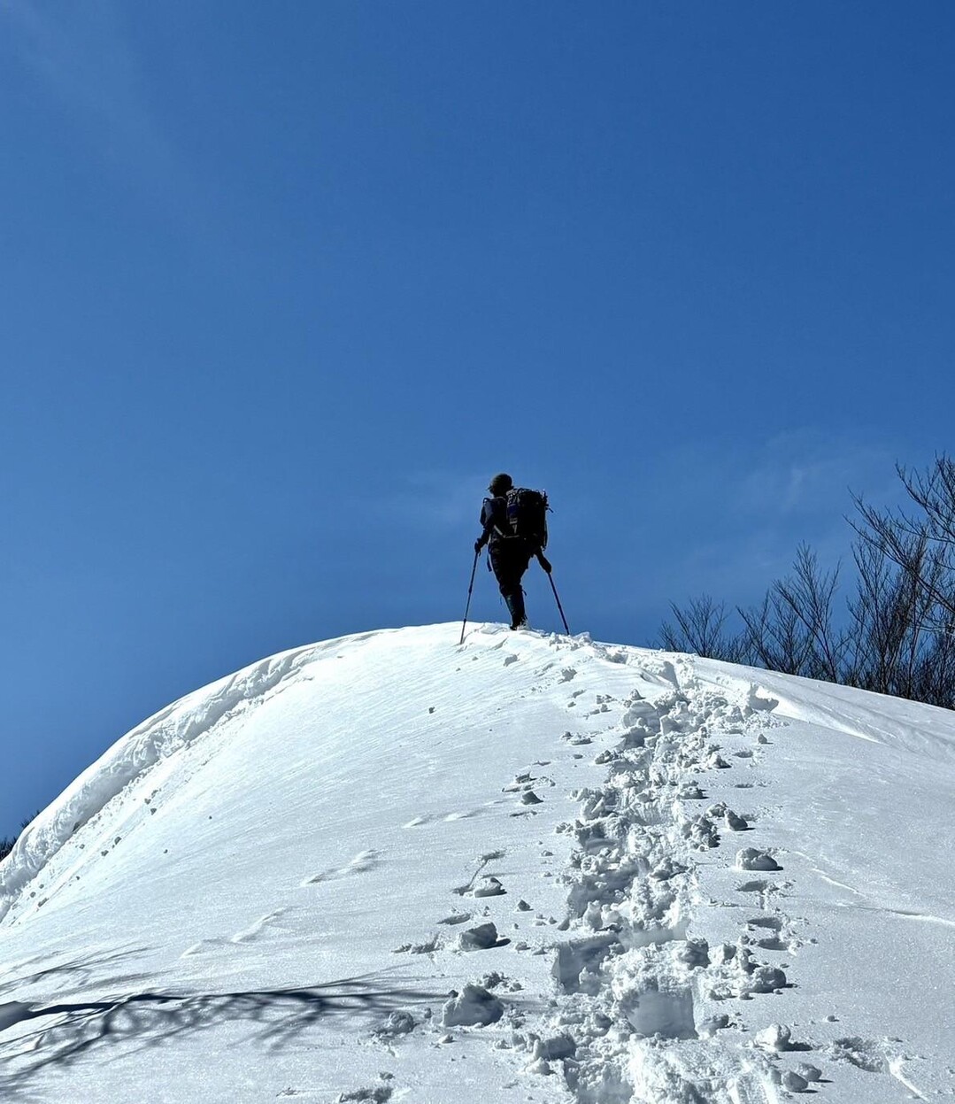 ️お初の西俣ノ峰 ️ / muscari-mieさんの朳差岳・鉾立峰・大石山の活動データ | YAMAP / ヤマップ