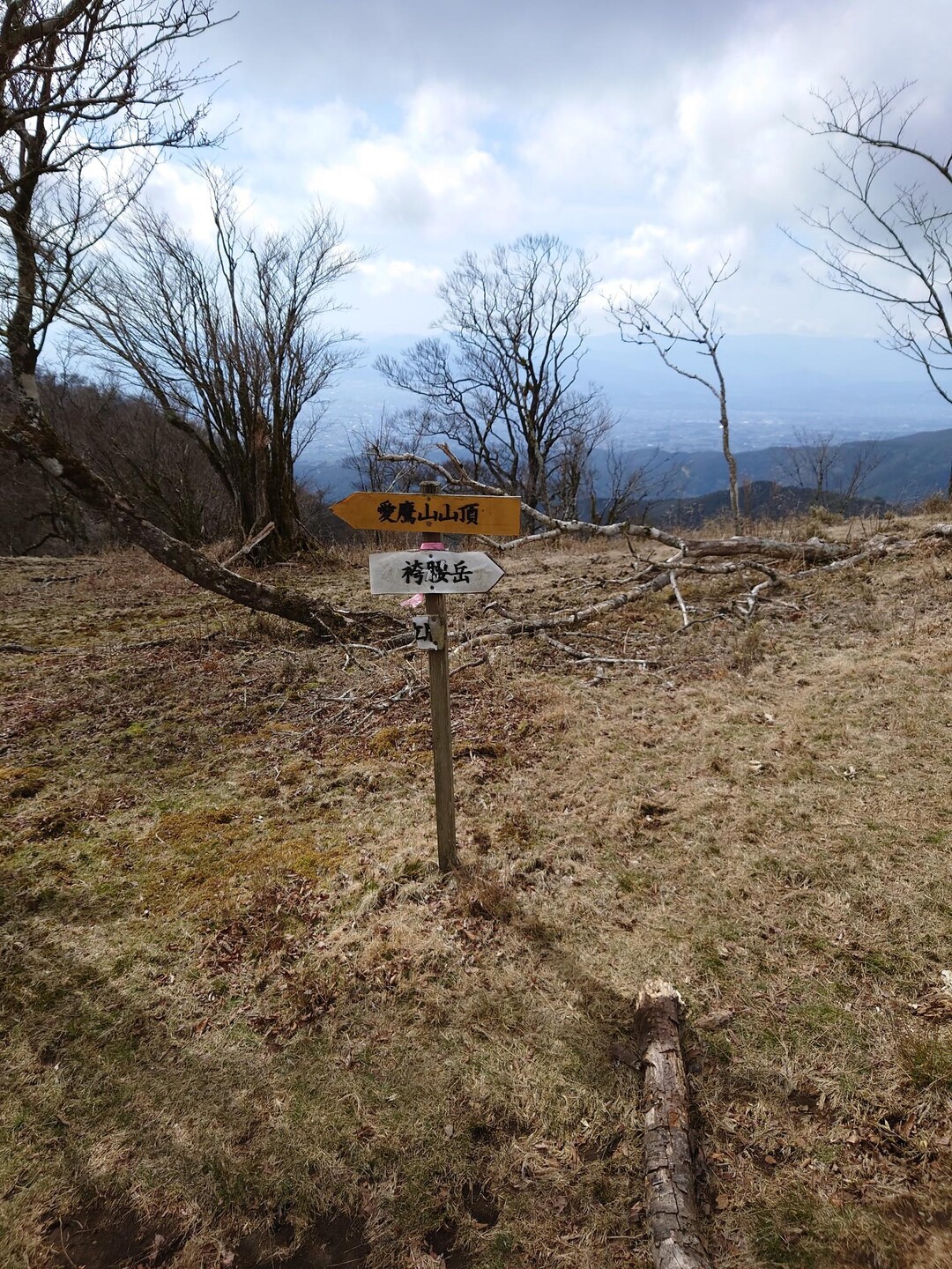 たけださんの投稿したフィールドメモ | YAMAP / ヤマップ