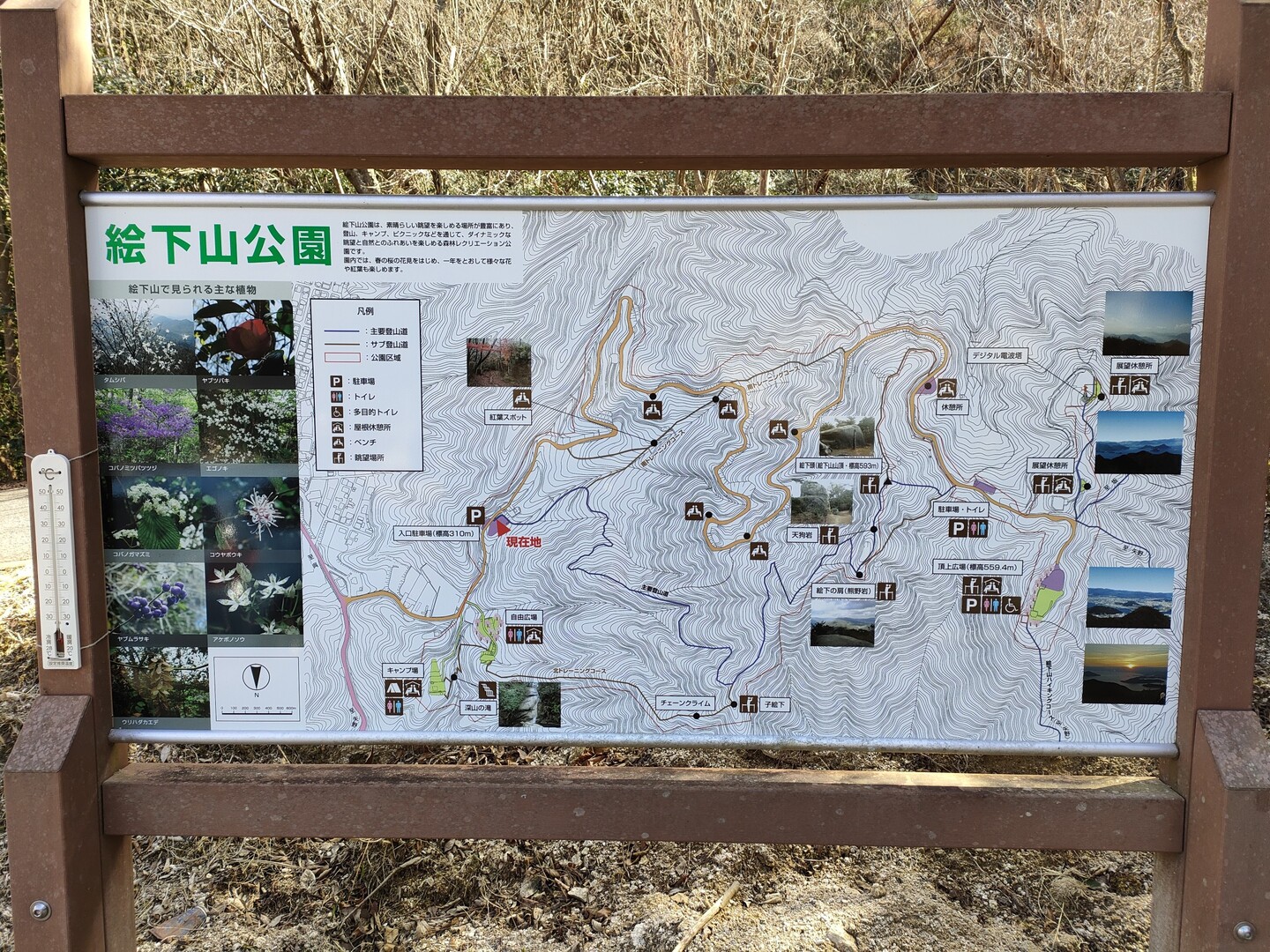 jiyoさんの投稿したフィールドメモ | YAMAP / ヤマップ