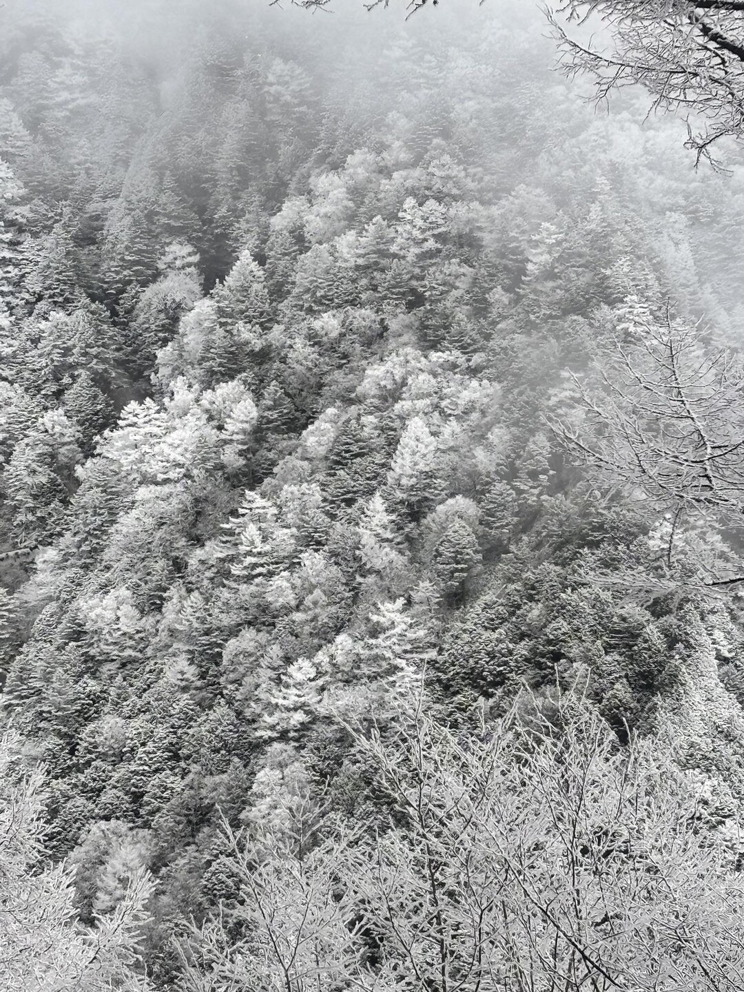 快晴の燕😍また来るね😃🎵 / kk_koro♌️さんの燕岳・餓鬼岳・唐沢岳の活動データ | YAMAP / ヤマップ