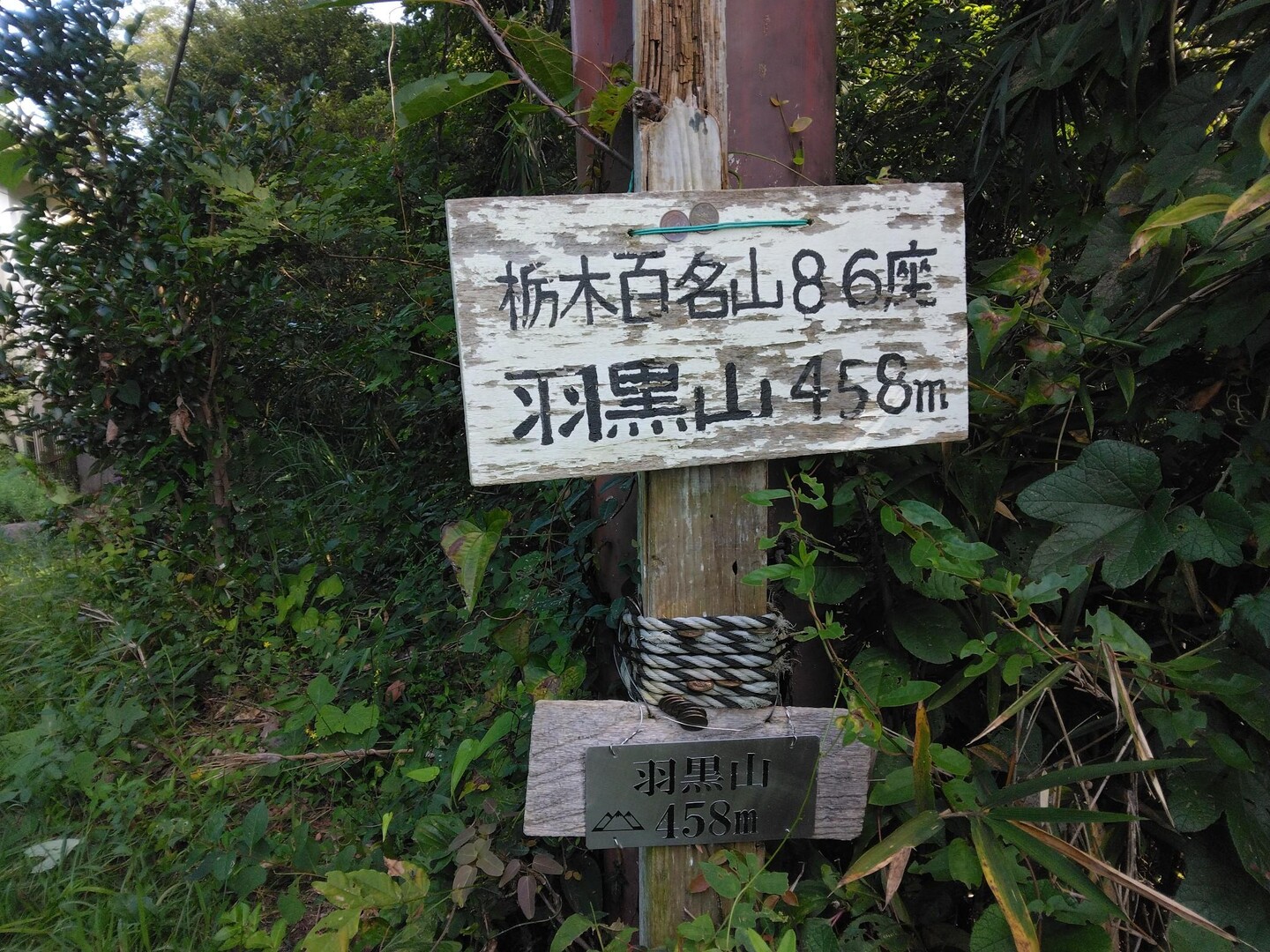 羽黒山 遊歩道コース~羽黒山神社~羽黒山~参道コース 周回 / あき250(あき2号)さんの羽黒山の活動データ | YAMAP / ヤマップ