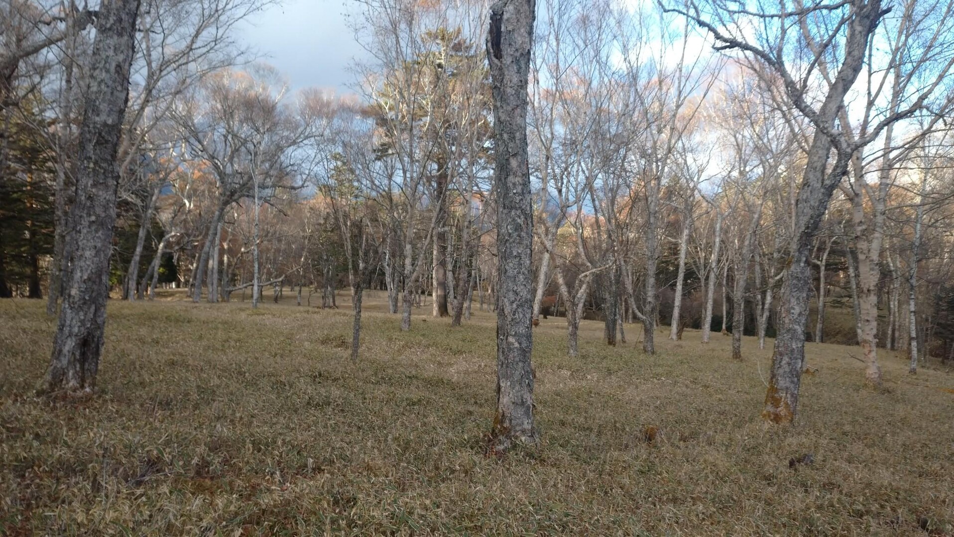 shinpeiさんの投稿したフィールドメモ | YAMAP / ヤマップ