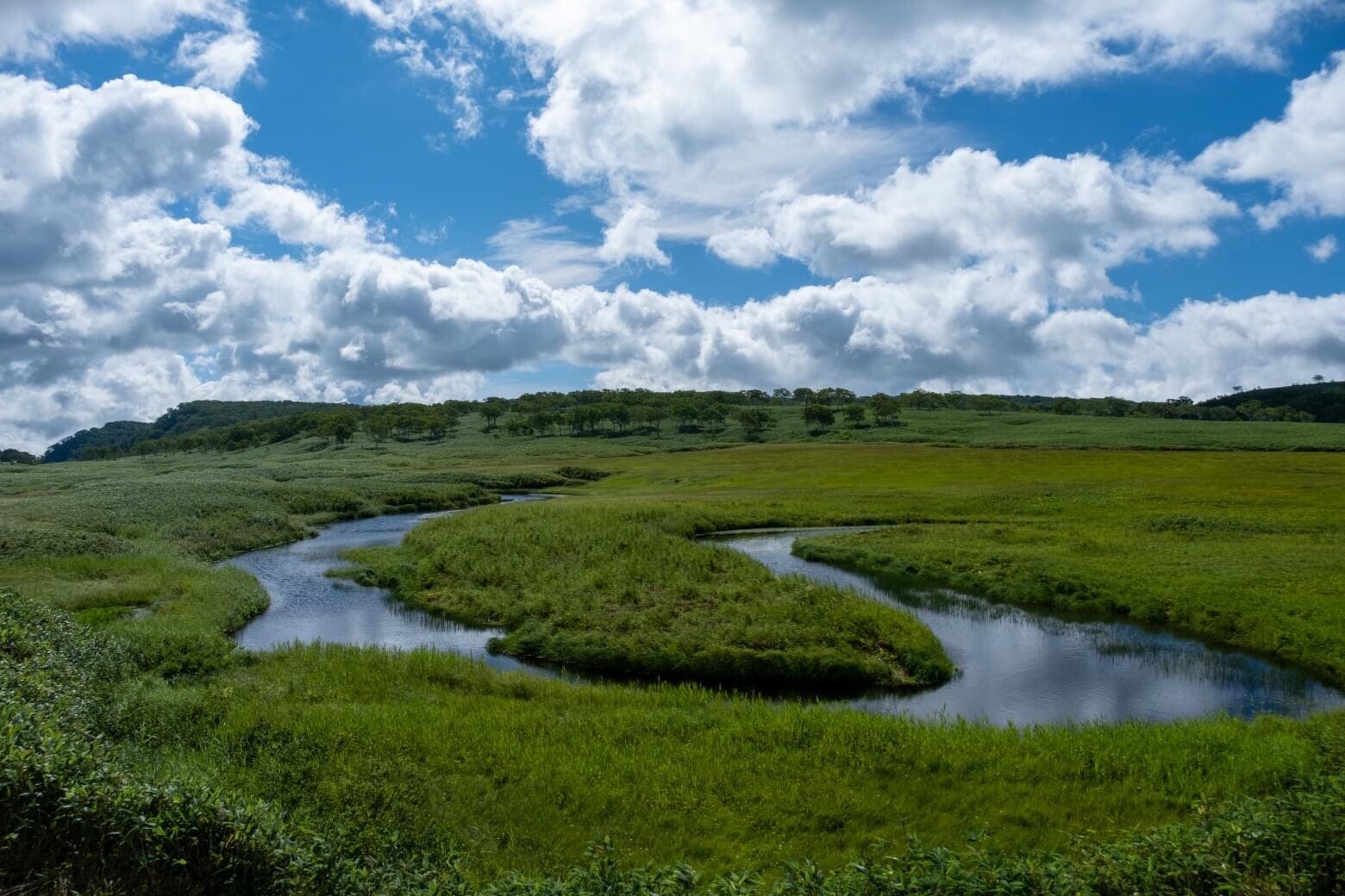 ちょっと散歩に雨竜沼へ / sao_reeさんの暑寒別岳の活動データ | YAMAP / ヤマップ