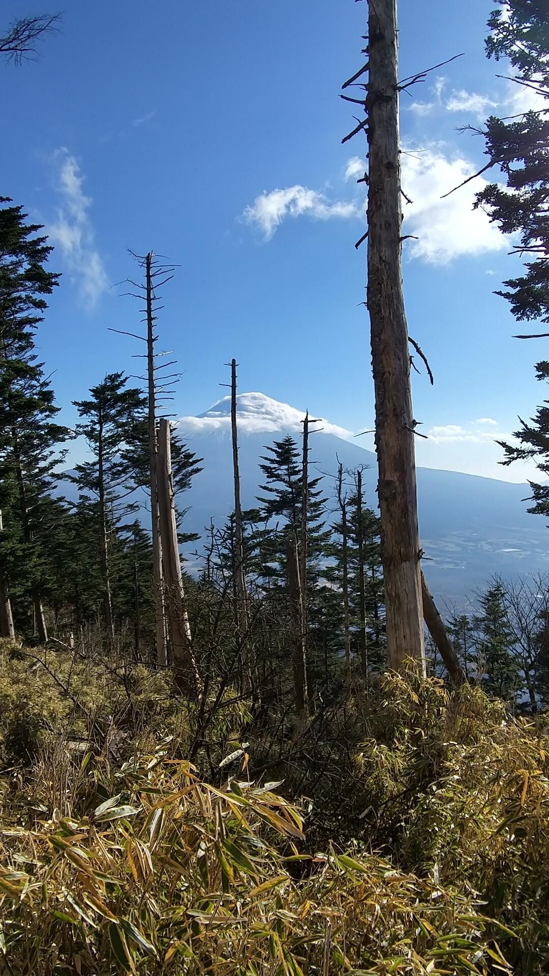 23.1km 地蔵峠~雪見岳~天狗岳~長者ヶ岳 2023/12/7 / tamiさんのFUJISAN LONG TRAIL（天子山地エリア WEST）の活動データ | YAMAP / ヤマップ