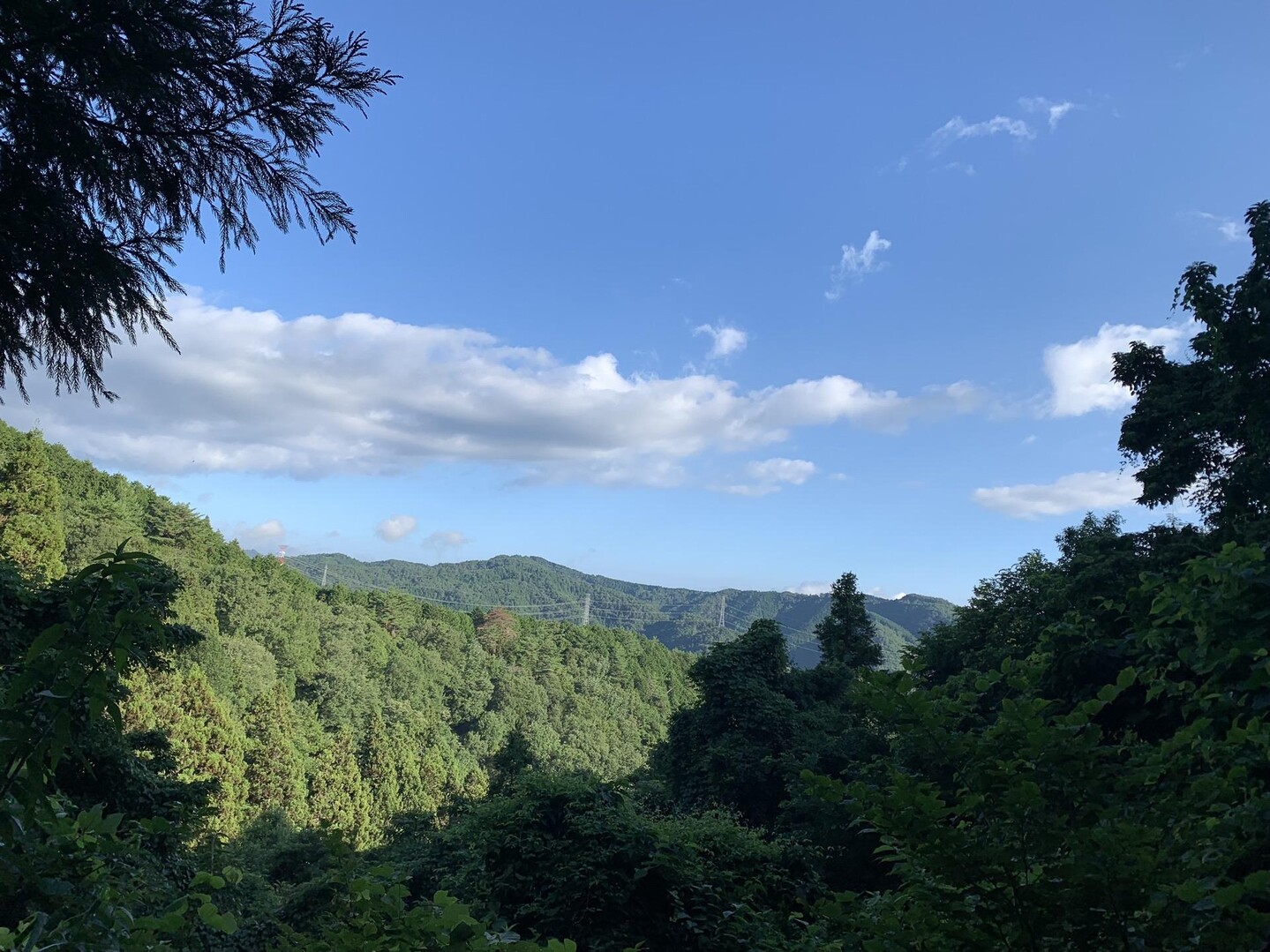 朝活 暑いので早朝に1万歩歩きました 朝... / seekaさんのモーメント | YAMAP / ヤマップ