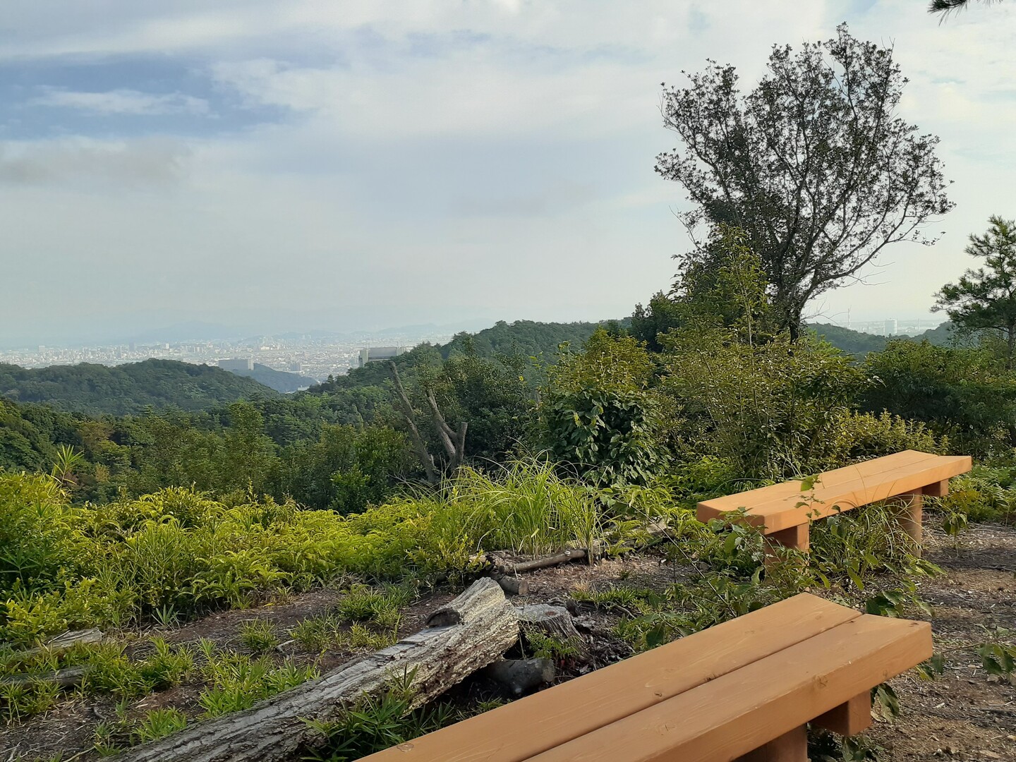 Noriさんの投稿したフィールドメモ | YAMAP / ヤマップ