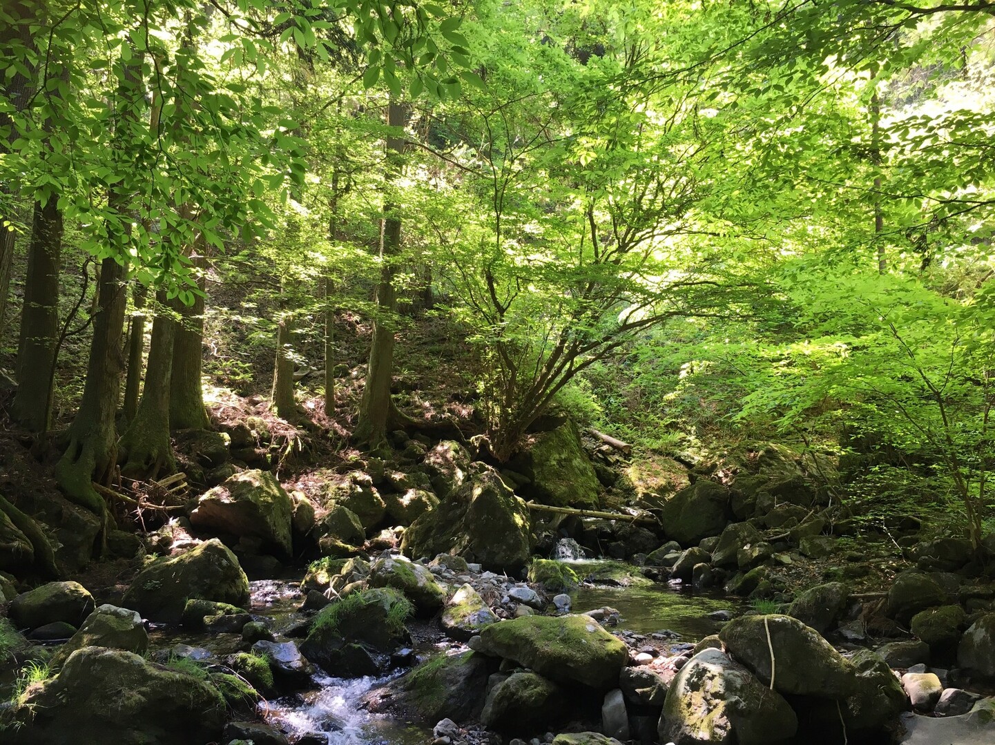 Odake Limestone Cave -> Odakesan -> Nabewariyama -> Mitakesan / robinさん ...