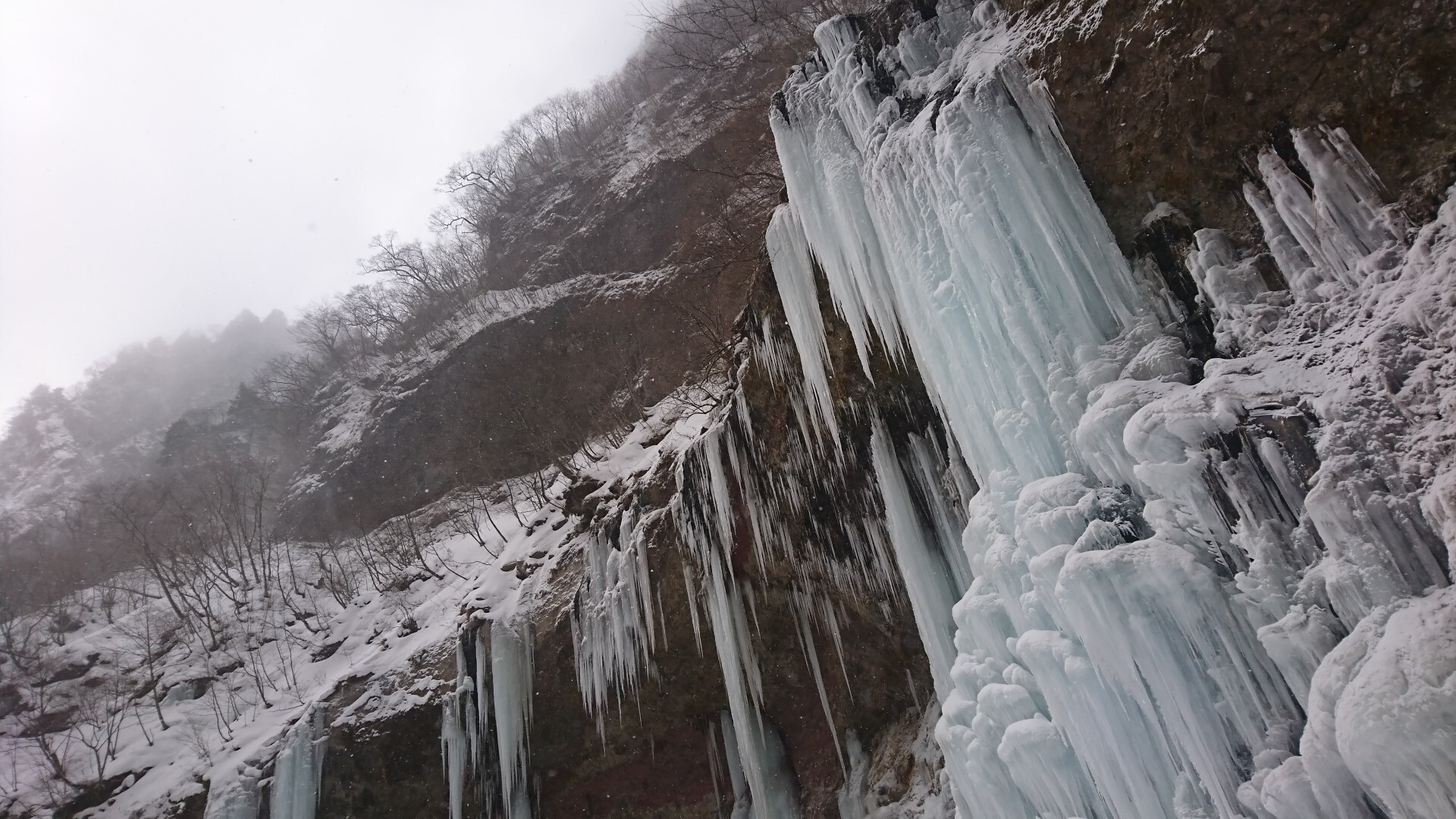 リアル アナ雪 ️ / N-saruさんのモーメント | YAMAP / ヤマップ