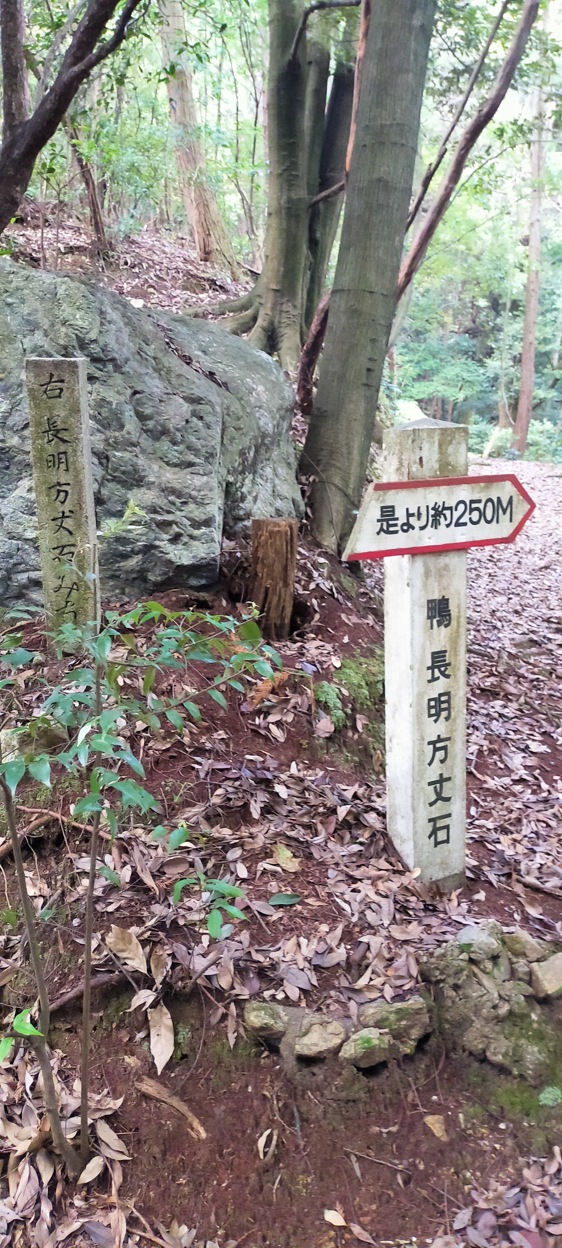 日野岳→パノラマ岩→パノラマ岩→天下峰 / おっくんさんのモーメント | YAMAP / ヤマップ