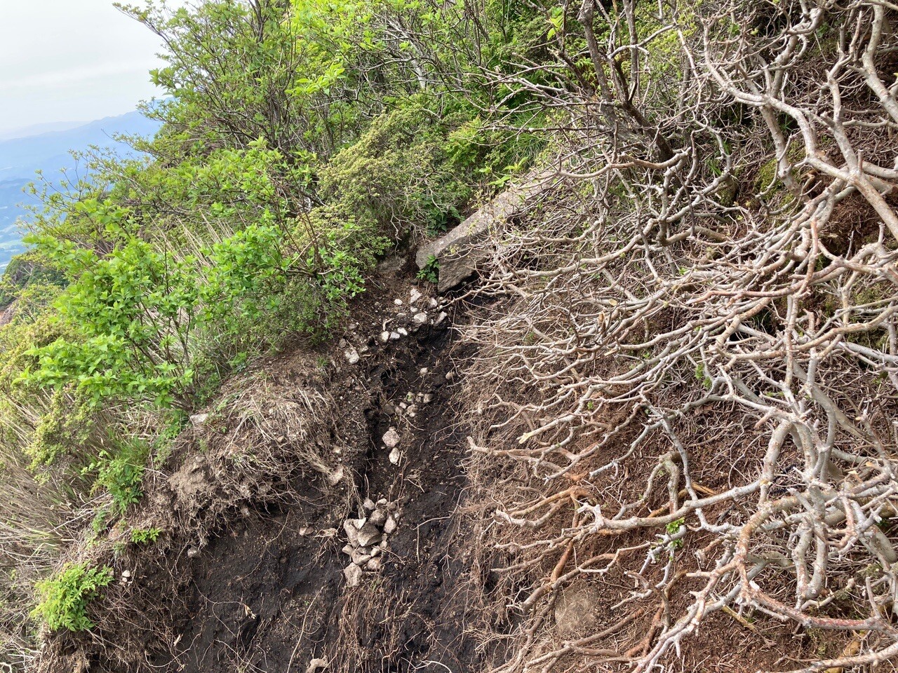 Hanamamさんの投稿したフィールドメモ | YAMAP / ヤマップ