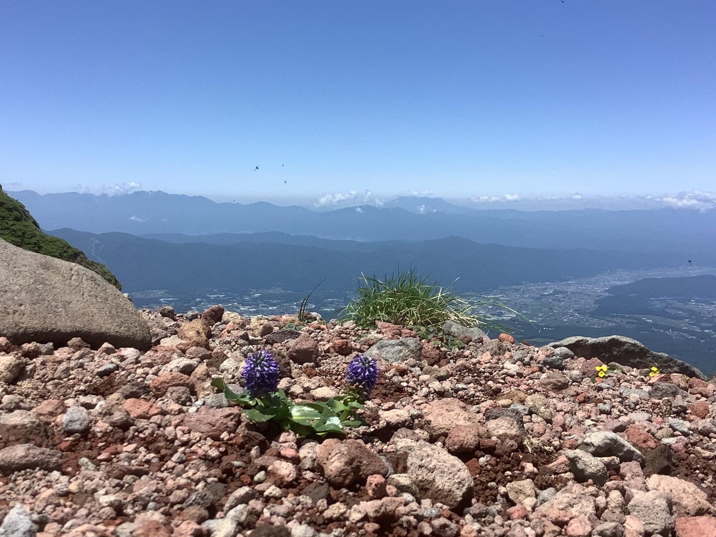 百花繚乱の八ヶ岳 / tsさんの八ヶ岳（赤岳・硫黄岳・天狗岳）の活動データ | YAMAP / ヤマップ