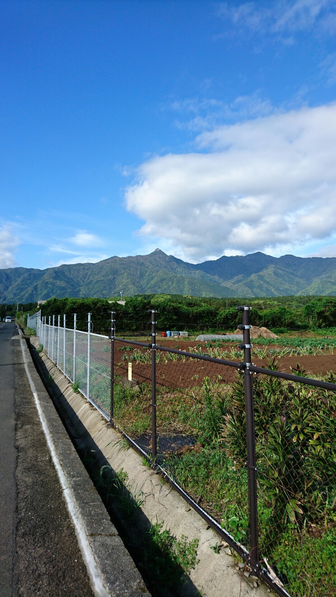 愛すべきかな🎵 … 愛子岳 / masazyさんの屋久島・宮之浦岳の活動データ | YAMAP / ヤマップ
